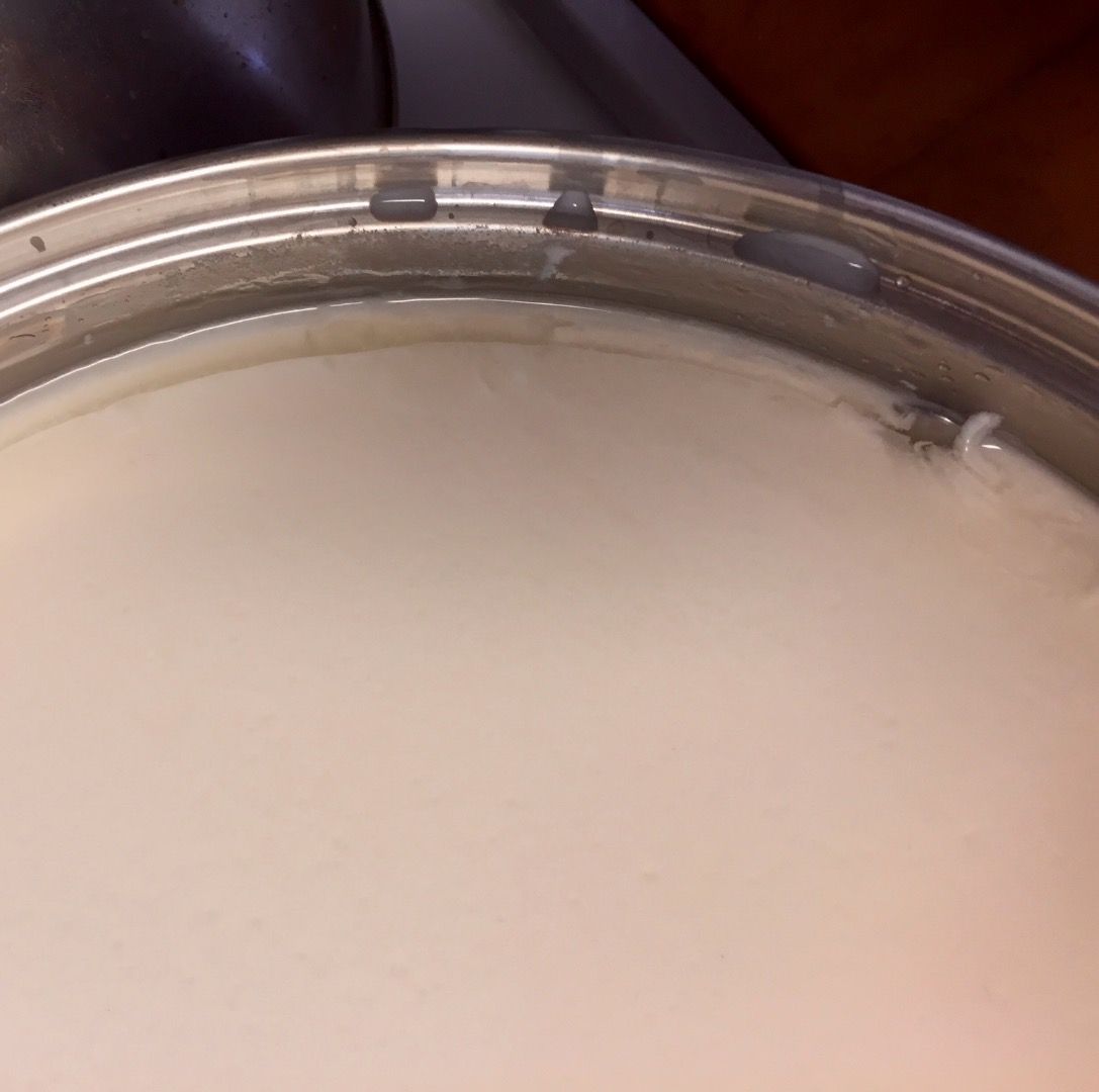 What the Quark??? DIY German Quark : 4 Steps (with Pictures ...
