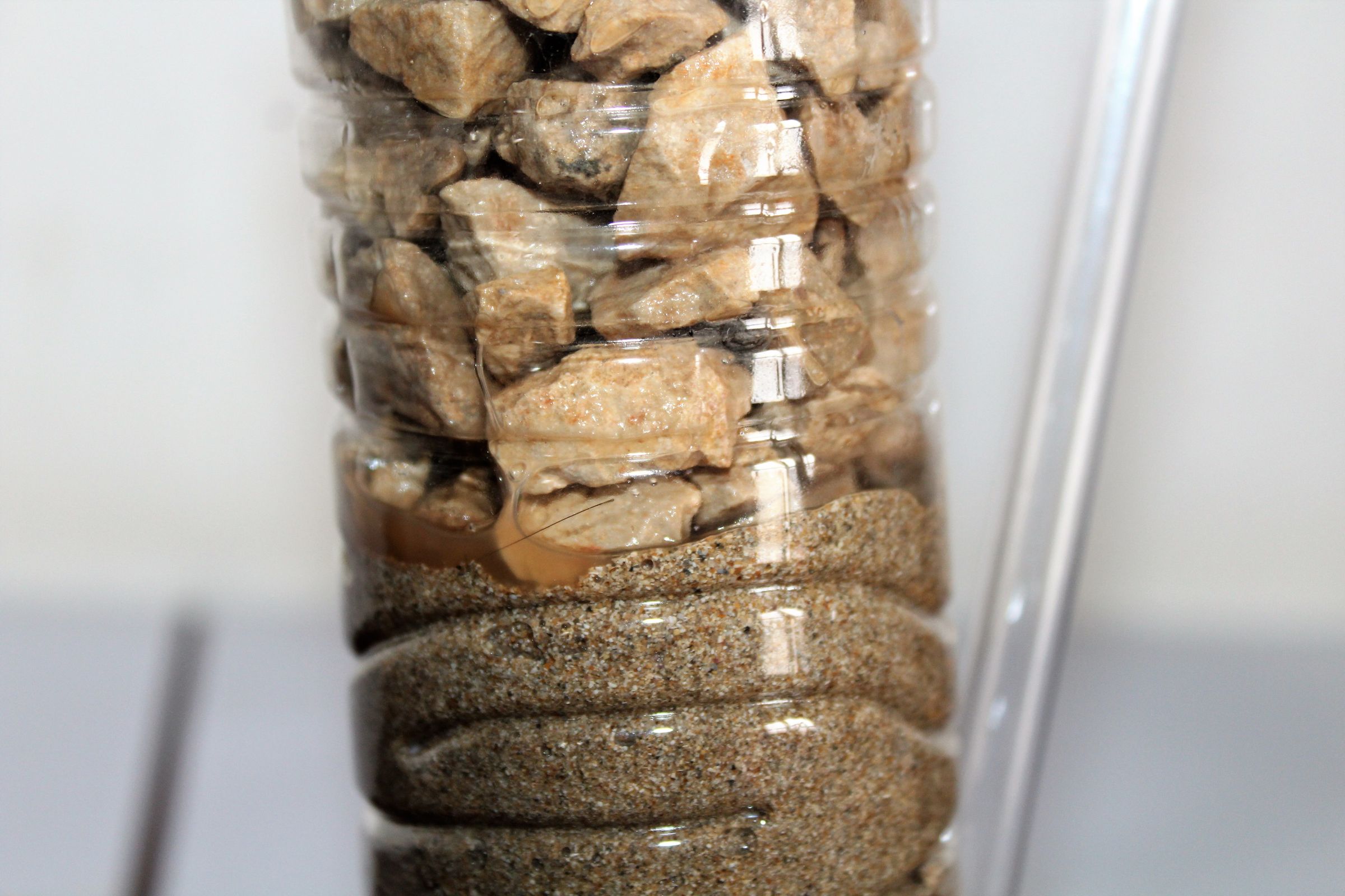 How to Make Easy Water Filtration : 11 Steps - Instructables