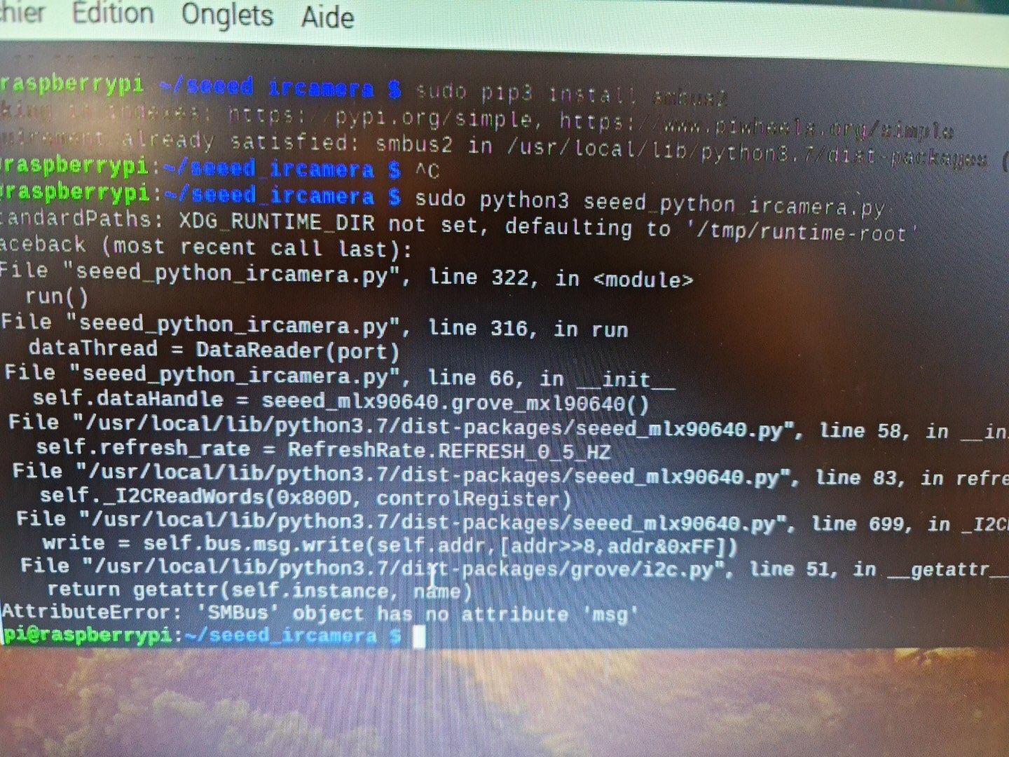 MLX90640 IR Thermal Camera Working With Raspberry Pi 4 : 3 Steps ...
