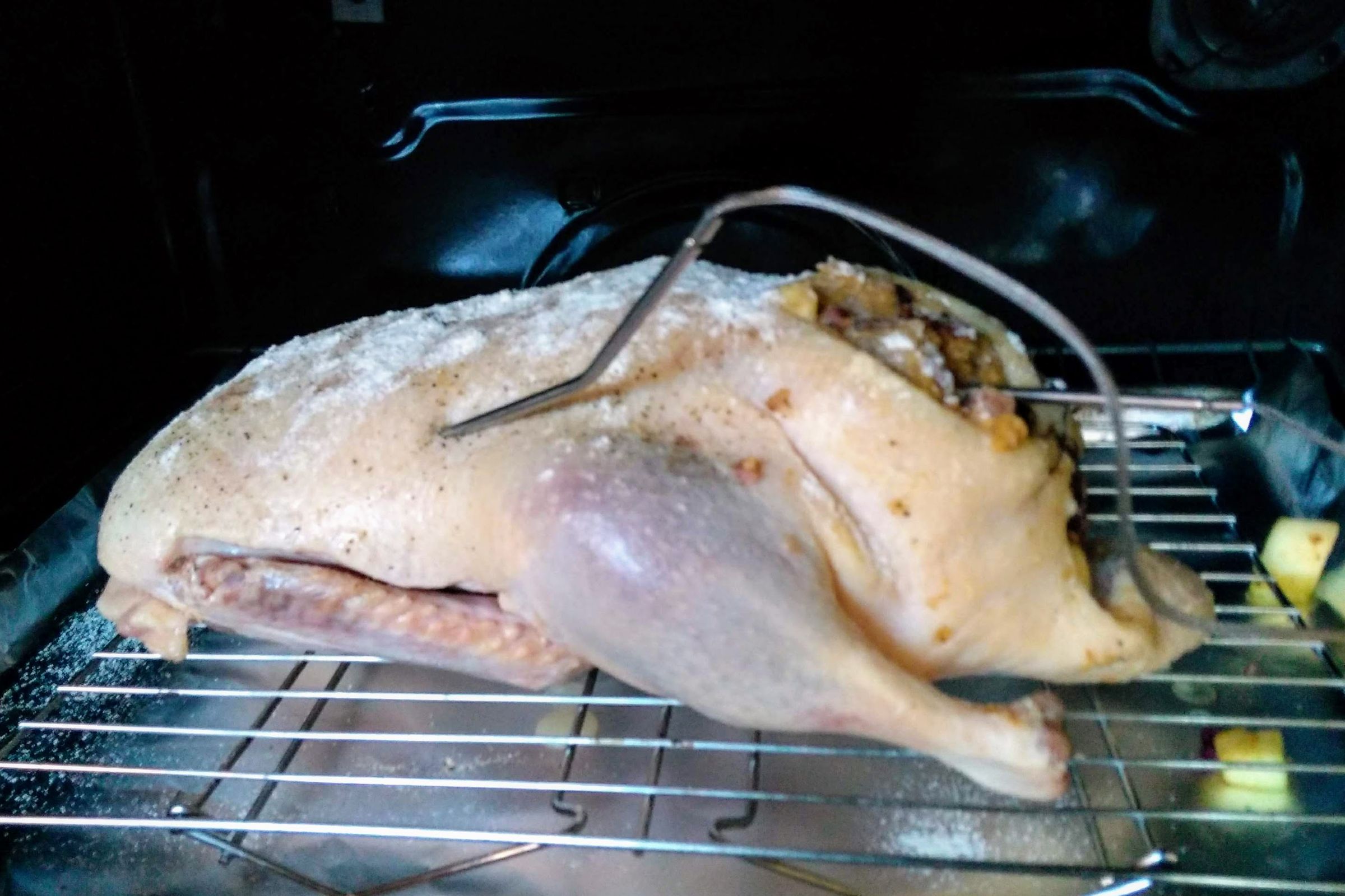 Duck Stuffing : 6 Steps (with Pictures) - Instructables