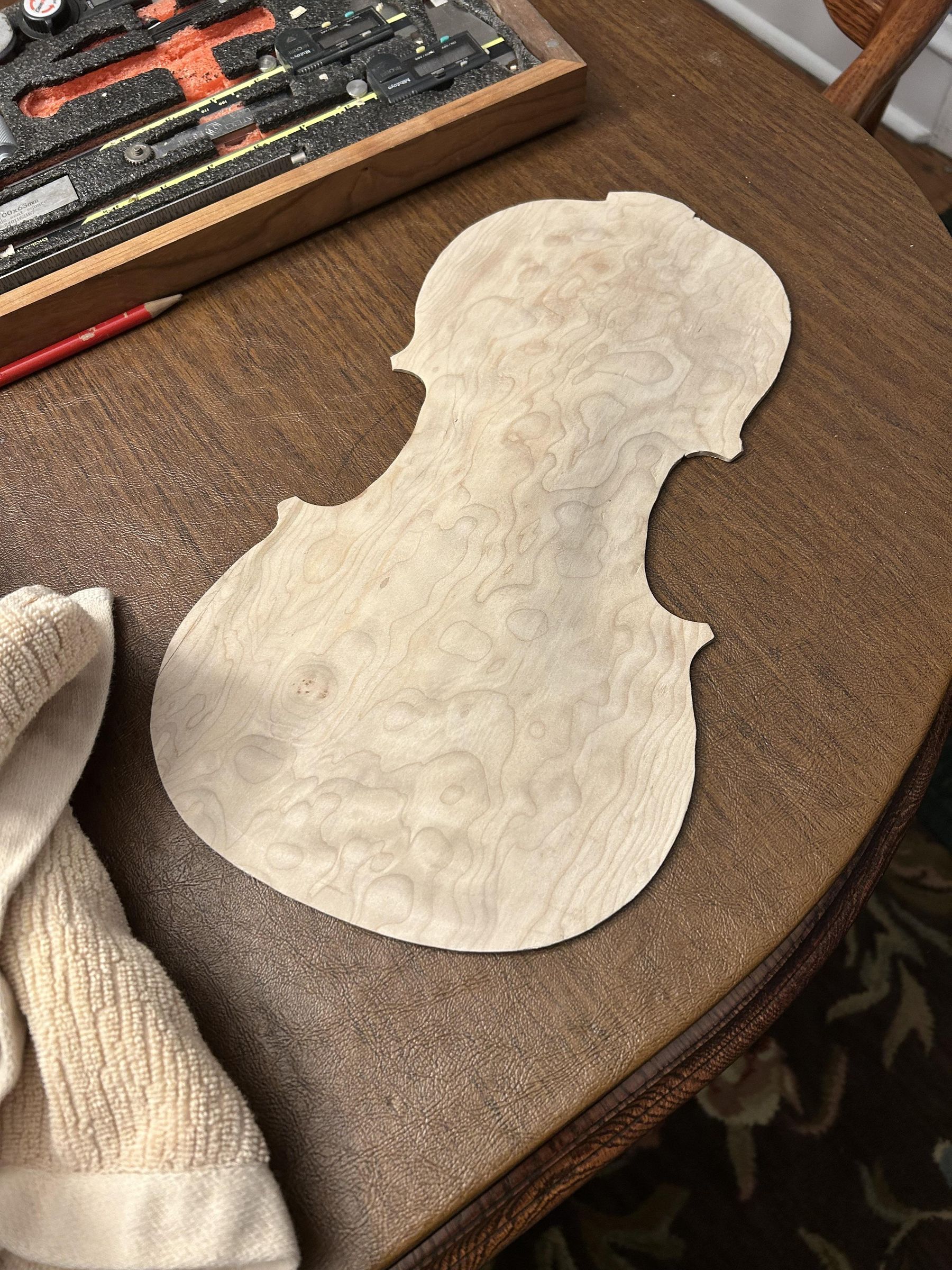 Building a Violin From Scratch Using Hand Tools : 35 Steps (with ...