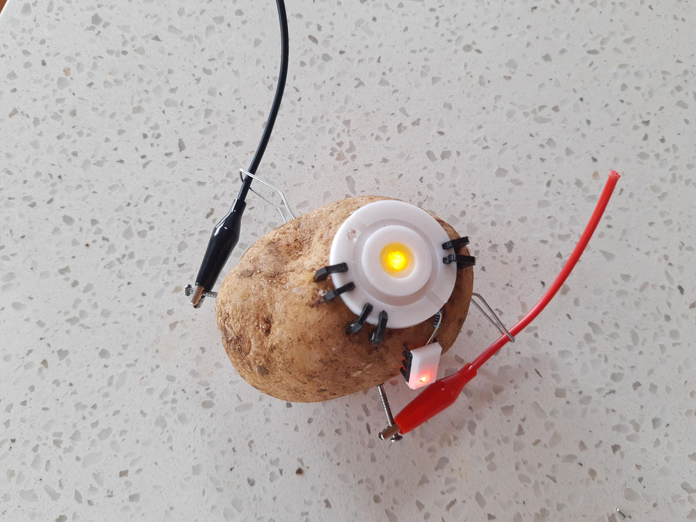 GLaDOS Potato Replica (with Lights) : 5 Steps (with Pictures ...