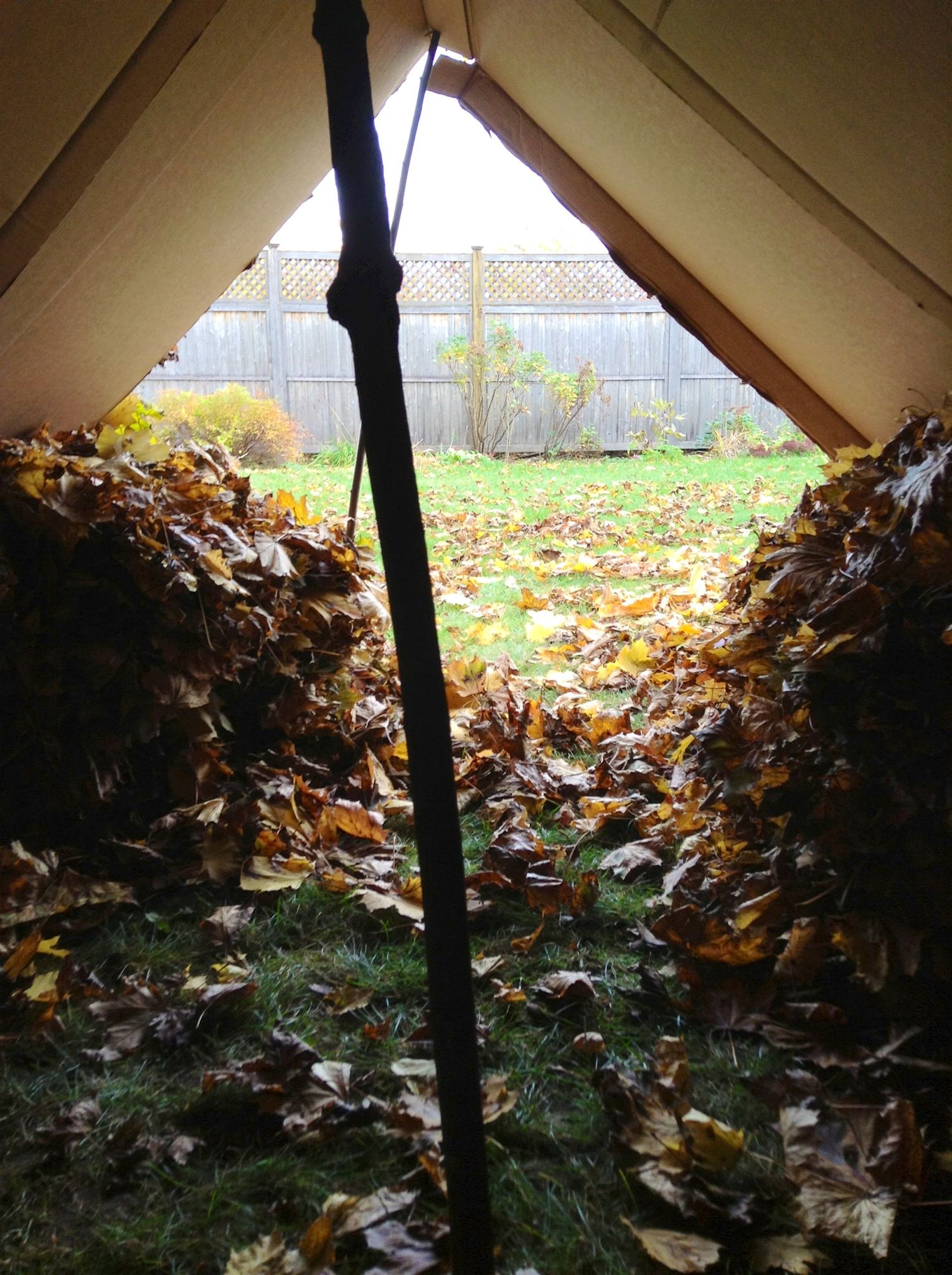 Building a Leaf House : 3 Steps (with Pictures) - Instructables