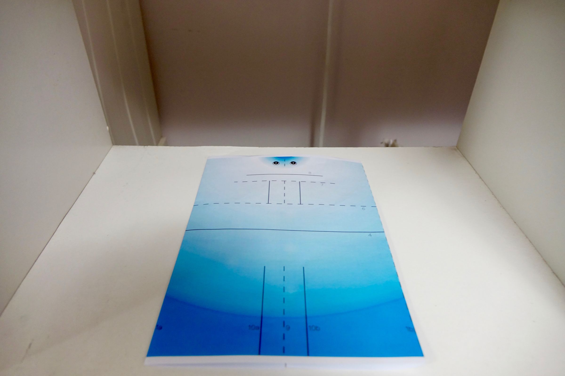 Flapping Paper Plane (Print Version) : 15 Steps (with Pictures ...