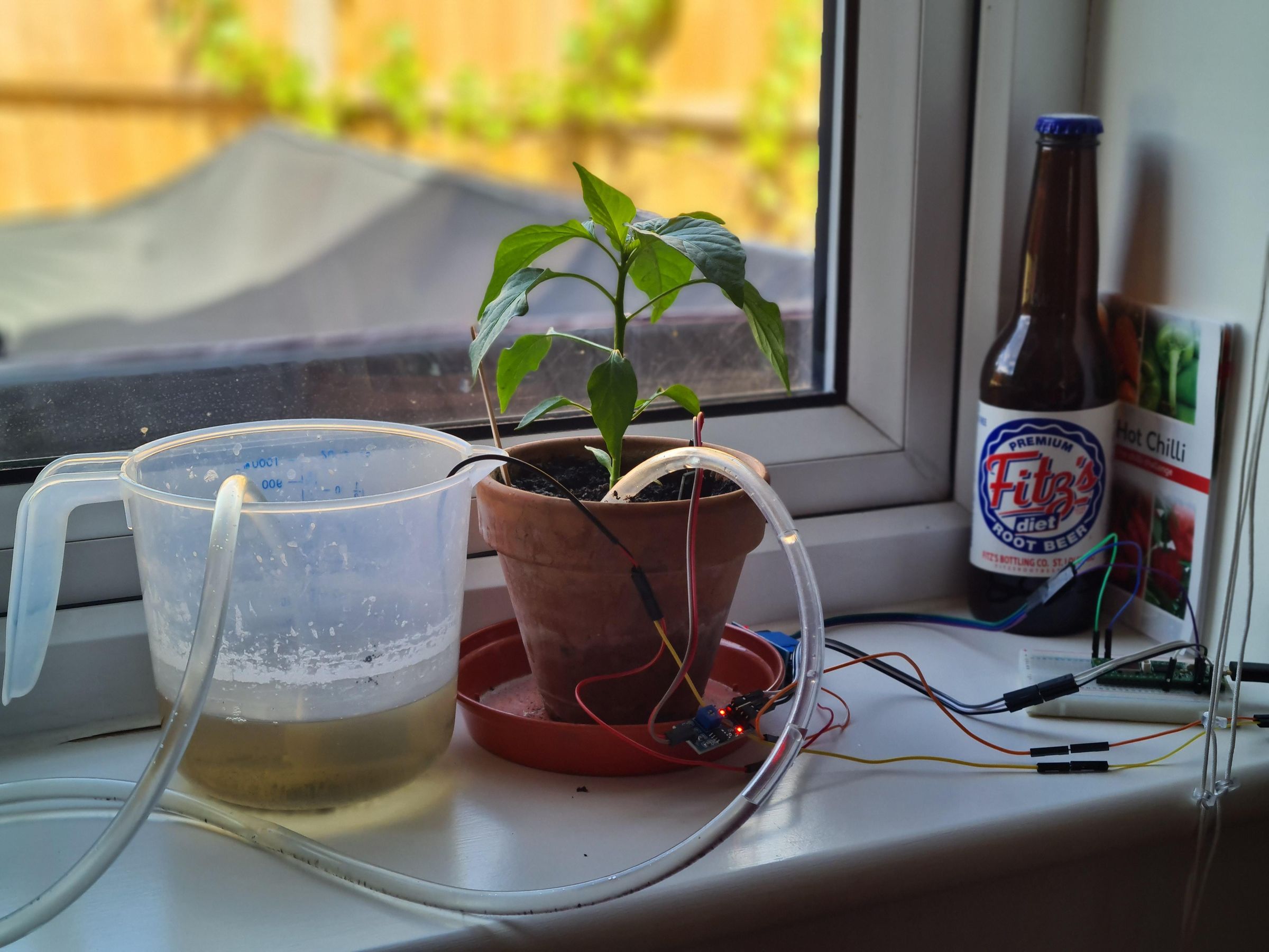 PlantyPi - Raspberry Pi Pico Plant Watering Device. : 6 Steps (with ...