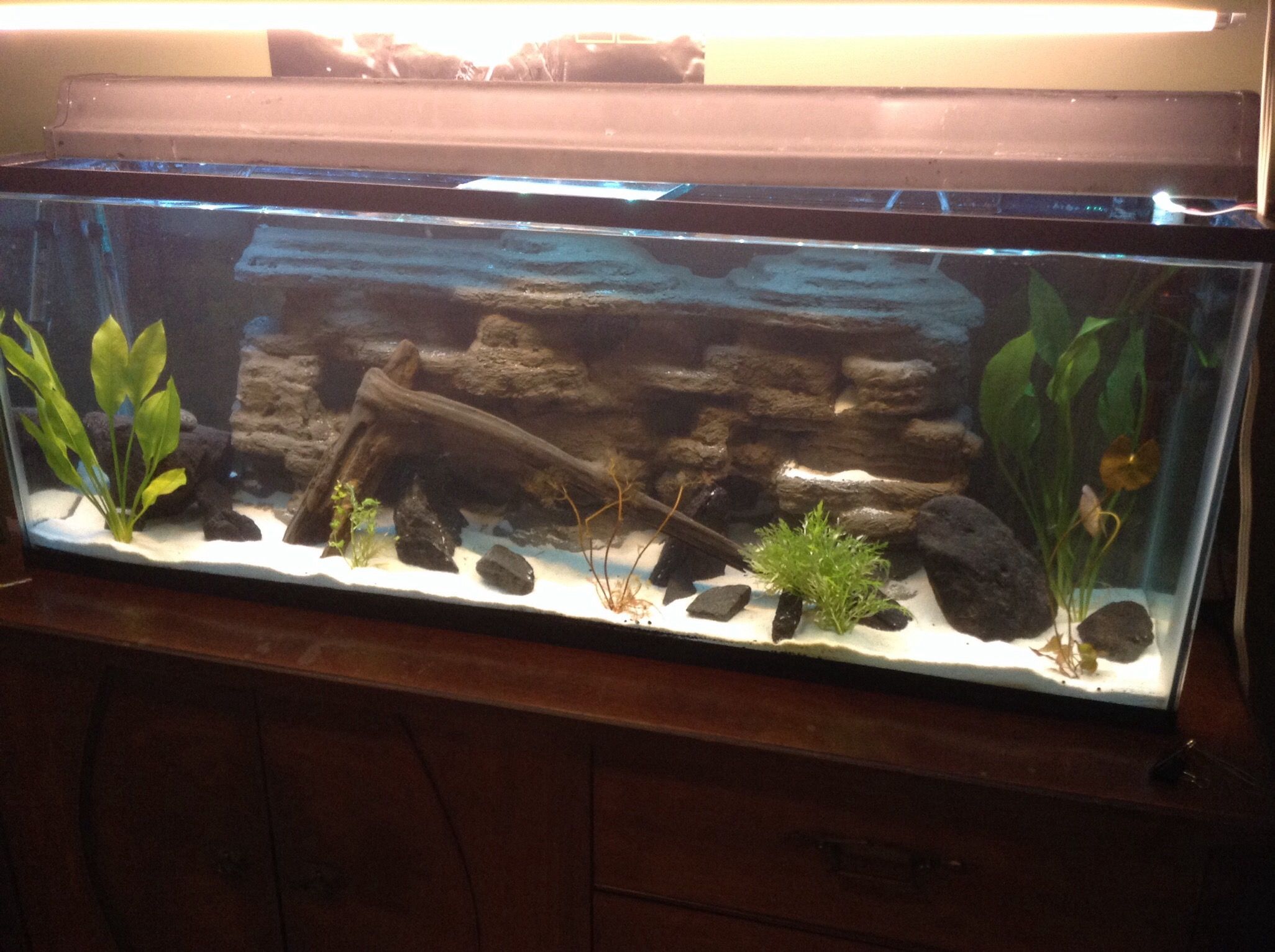 3d Interactive Aquarium Background : 9 Steps (with Pictures ...