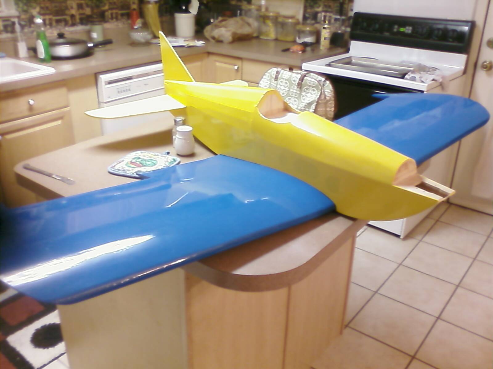 Beginners Guide to Radio Control Airplanes : 20 Steps (with Pictures ...