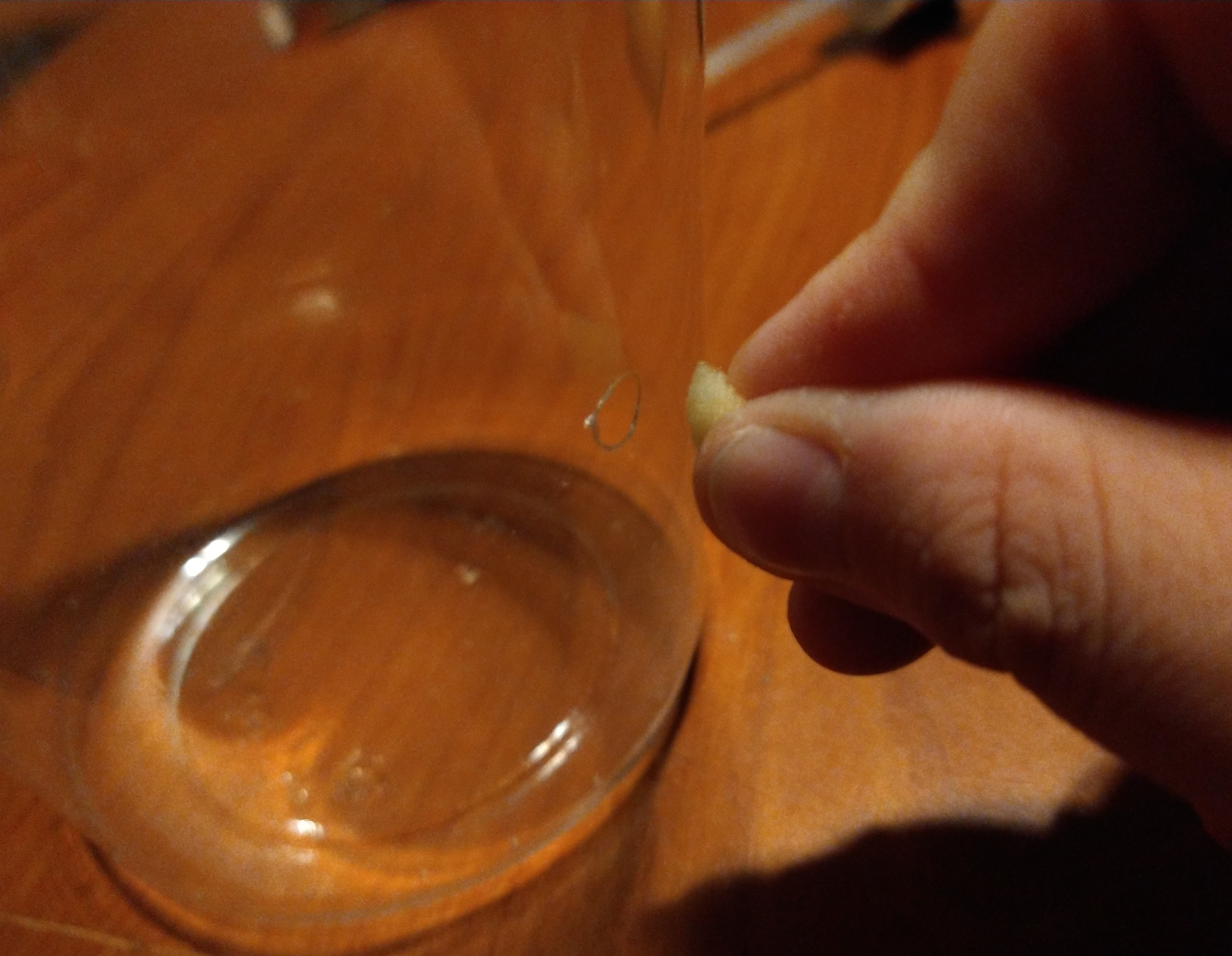 Perfect Praying Mantis Cups : 9 Steps (with Pictures) - Instructables