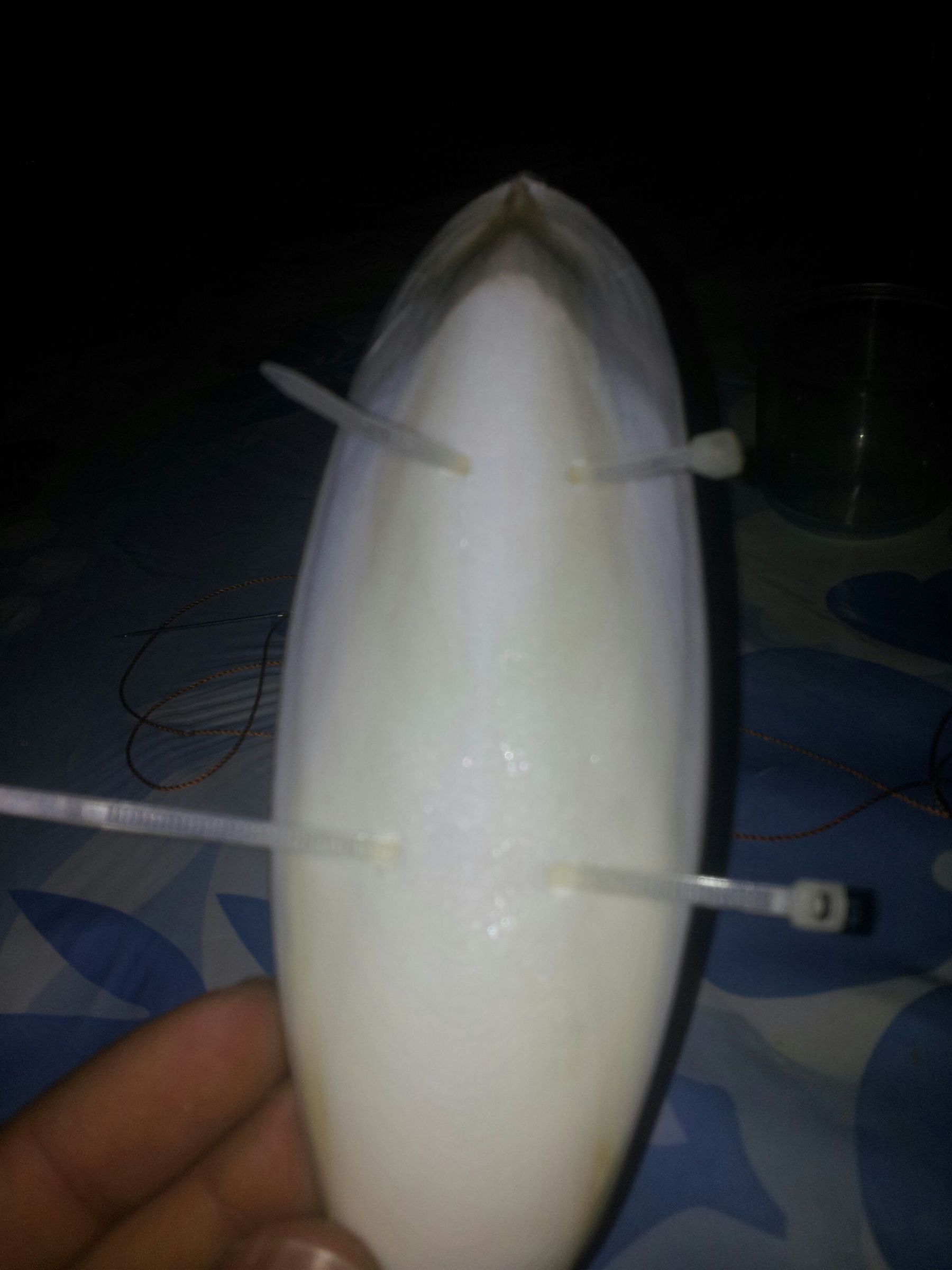 Zip Tie Cuttlebone Holder for Birds : 6 Steps - Instructables