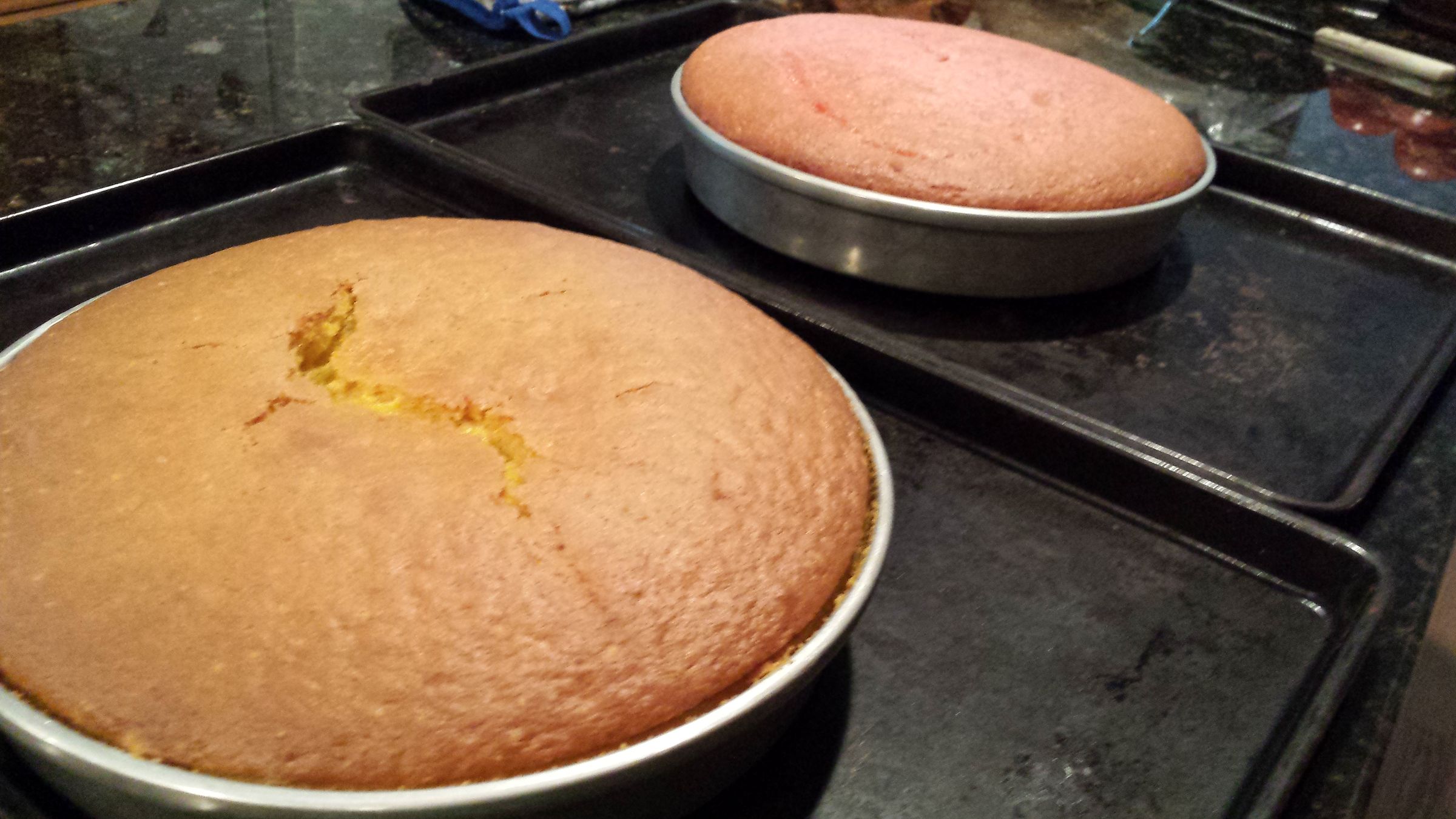 Making a Four Seasons Cake (Family Fun) : 10 Steps (with Pictures ...