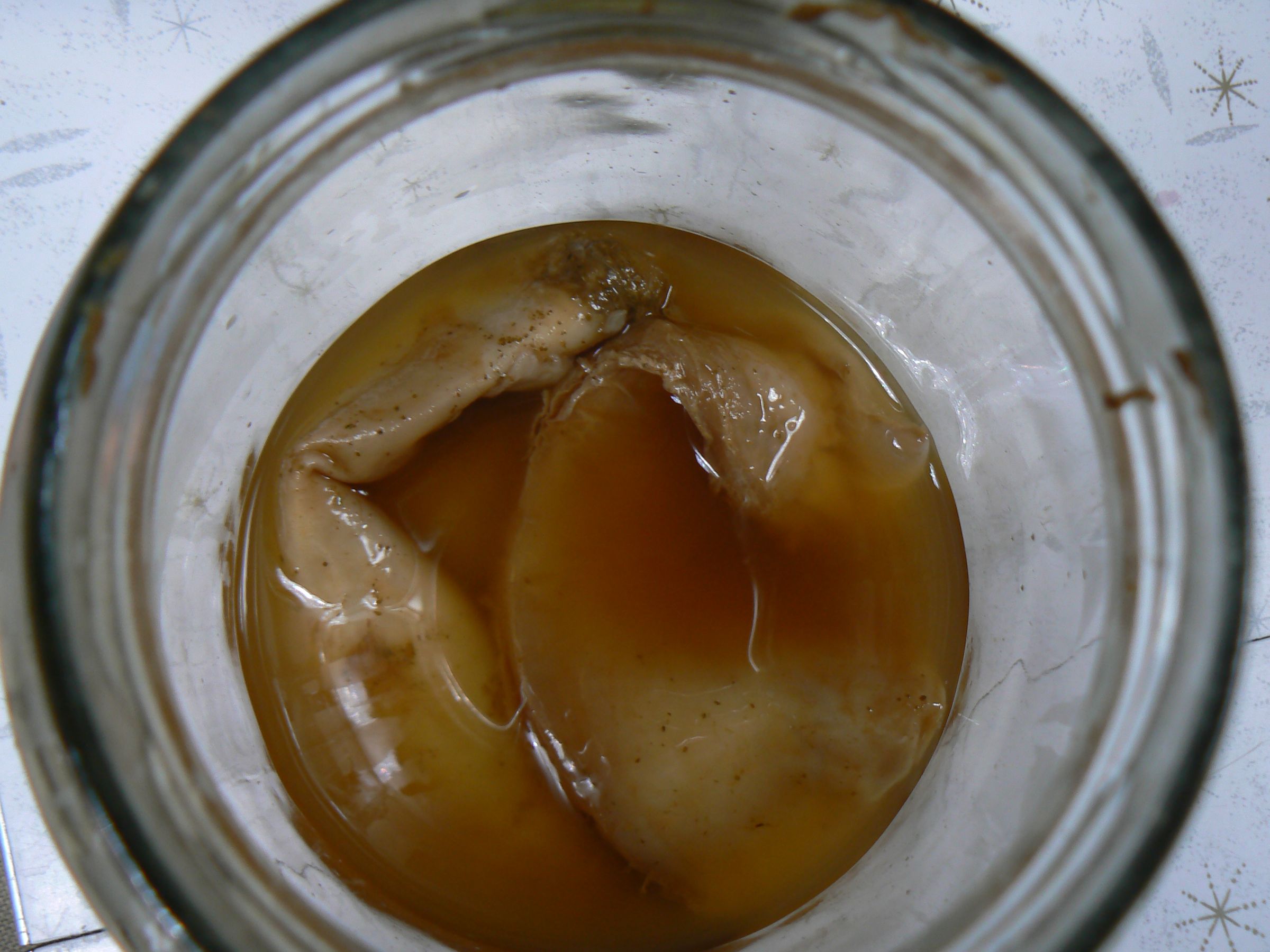 How to Make Kombucha : 5 Steps - Instructables