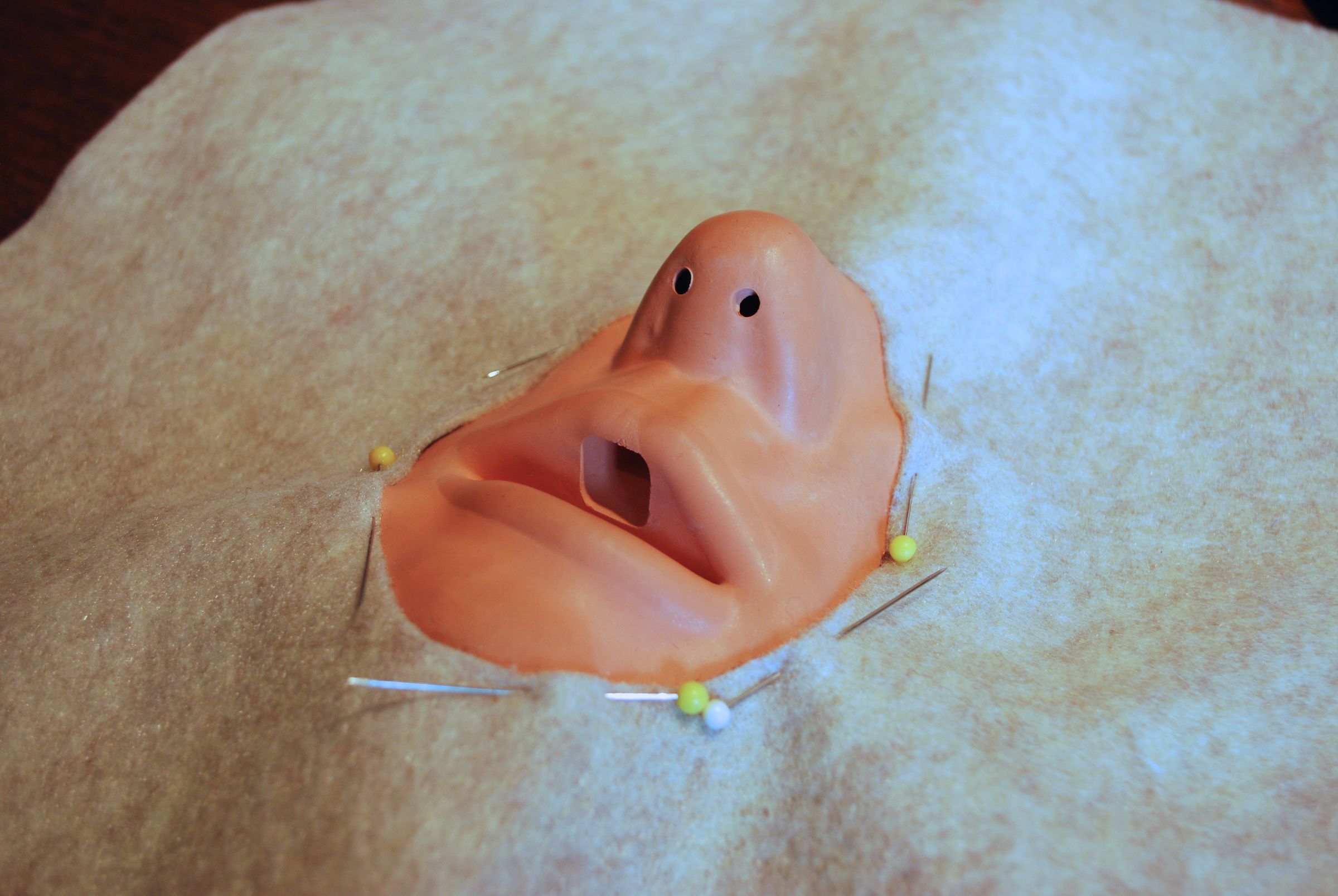 Make-Out Practice Pillow for Valentine's Day : 5 Steps (with Pictures ...