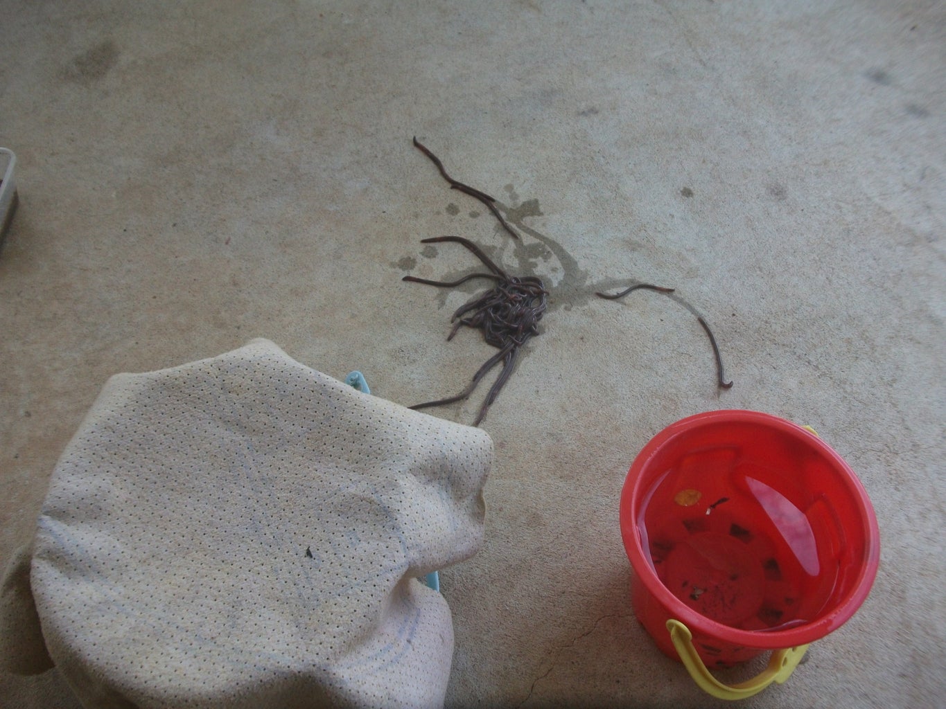 How to Efficiently Extract Worms From the Dirt : 7 Steps - Instructables How to Efficiently Extract Worms From the Dirt : 7 Steps - Instructables