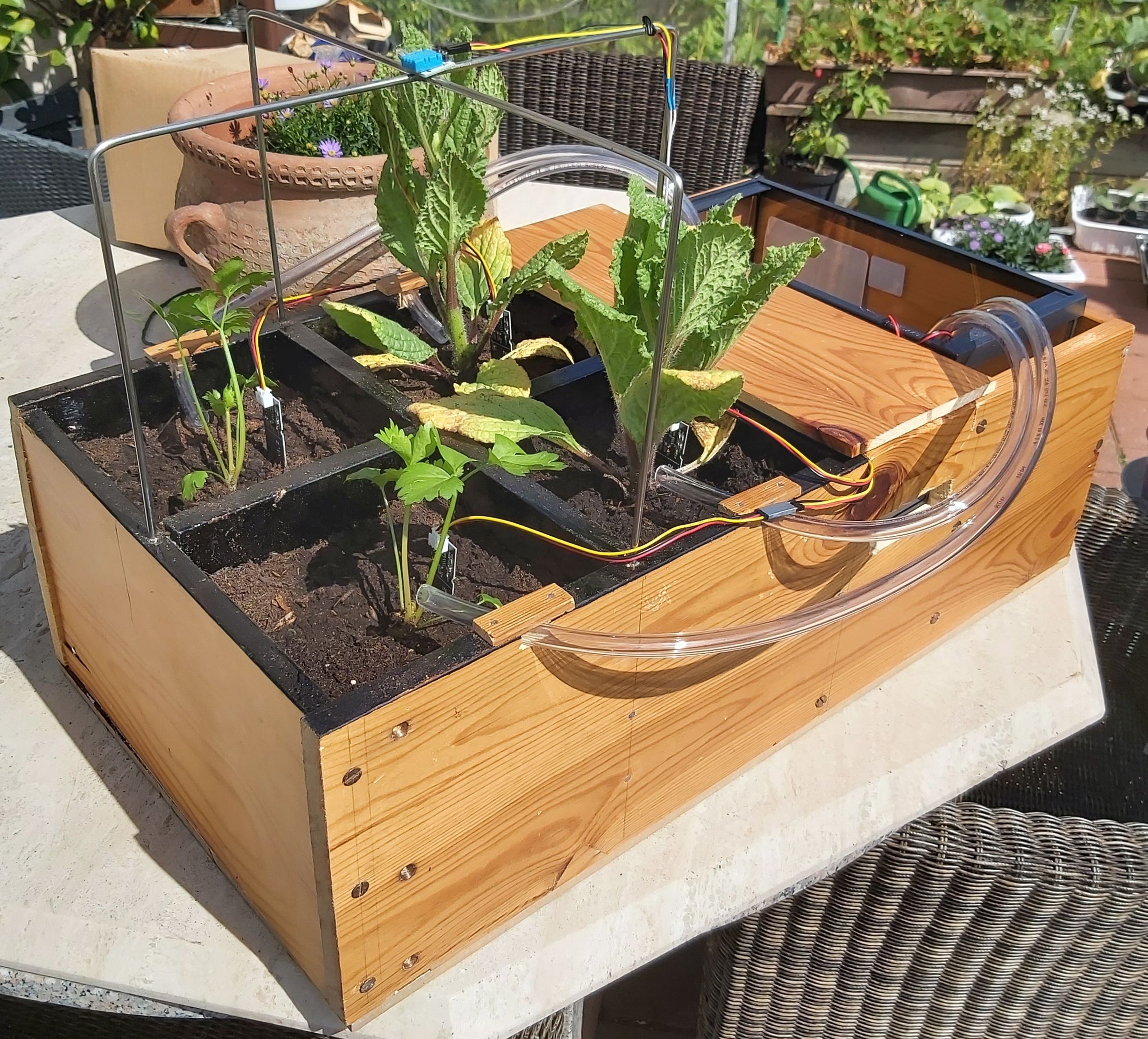 MAG (Miniature Automatic Greenhouse) : 9 Steps - Instructables