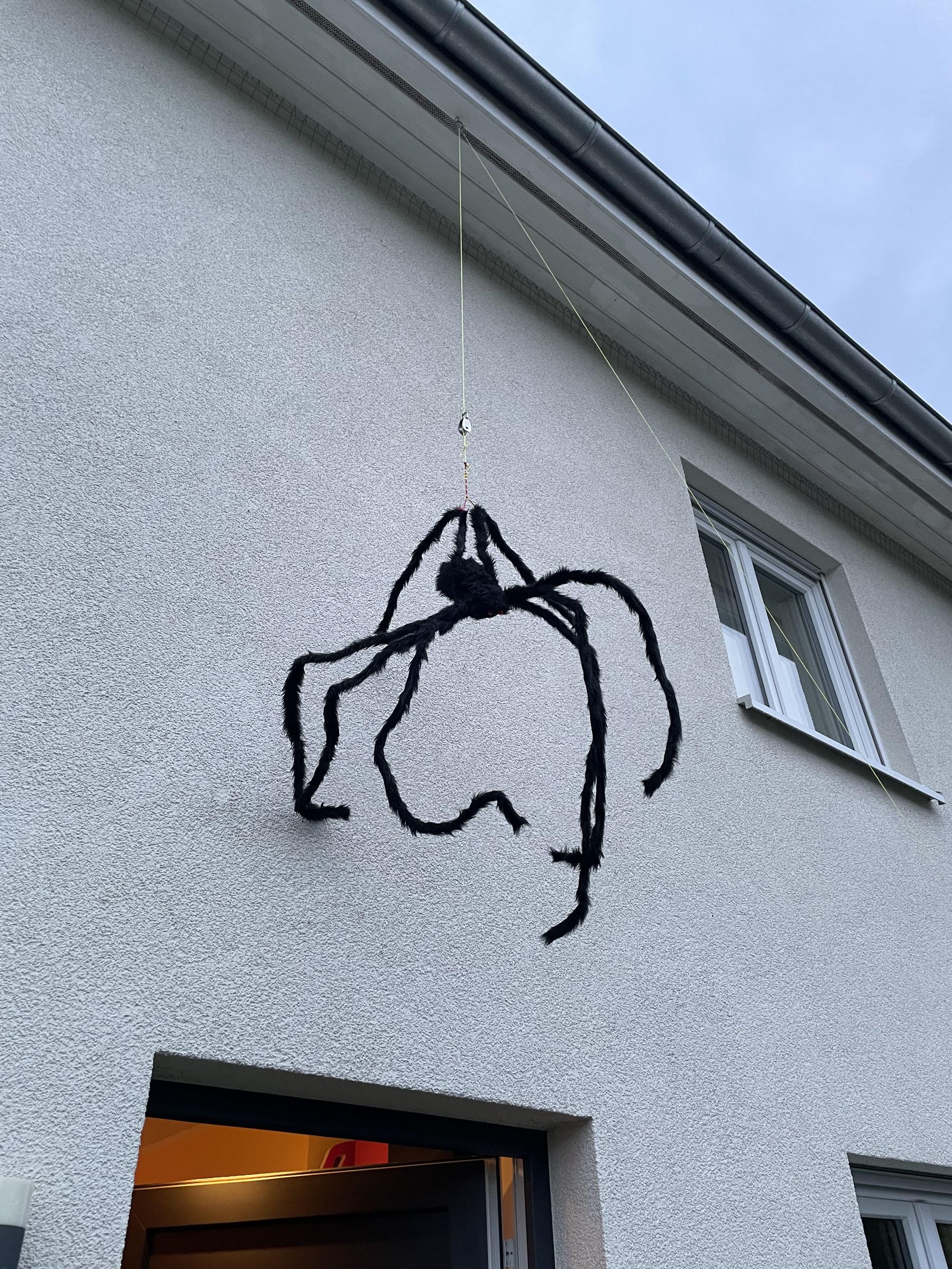 Automatic Halloween Spider Drop : 5 Steps (with Pictures) - Instructables