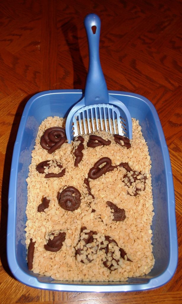Cat Poop Fudge : 3 Steps (with Pictures) - Instructables