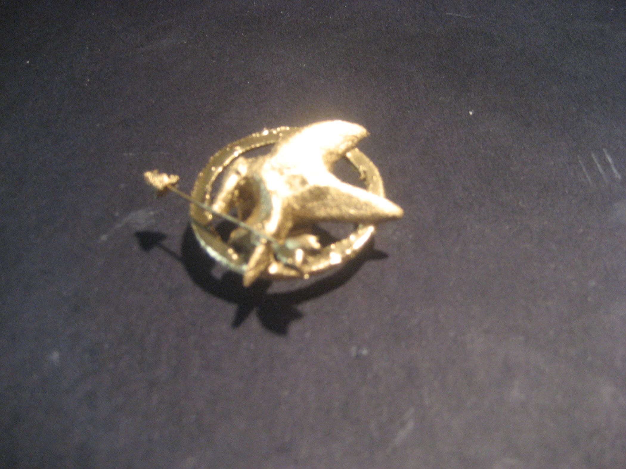 How to Make a Mockingjay Pin From the Hunger Games : 6 Steps ...