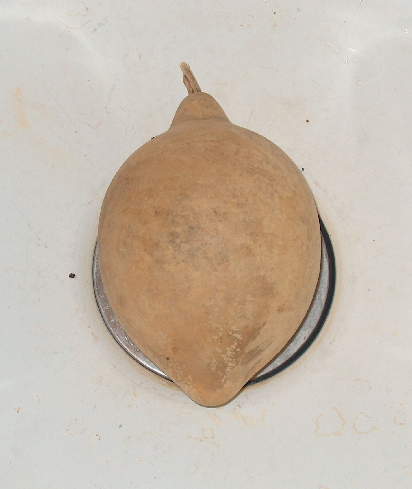 How to Clean a Hardshell Gourd : 3 Steps (with Pictures) - Instructables