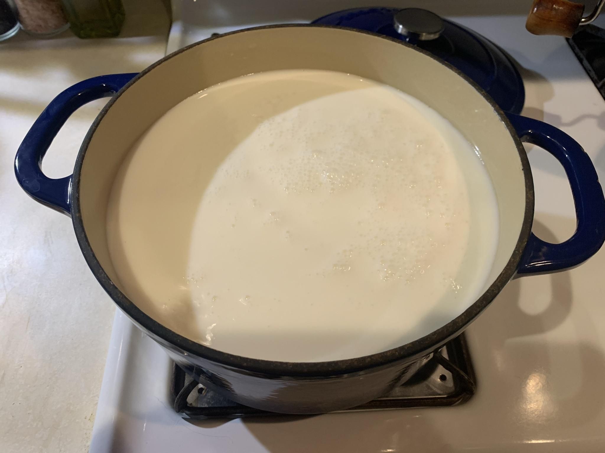 Fromage De Chevre (Goats Milk Cheese) : 14 Steps (with Pictures ...