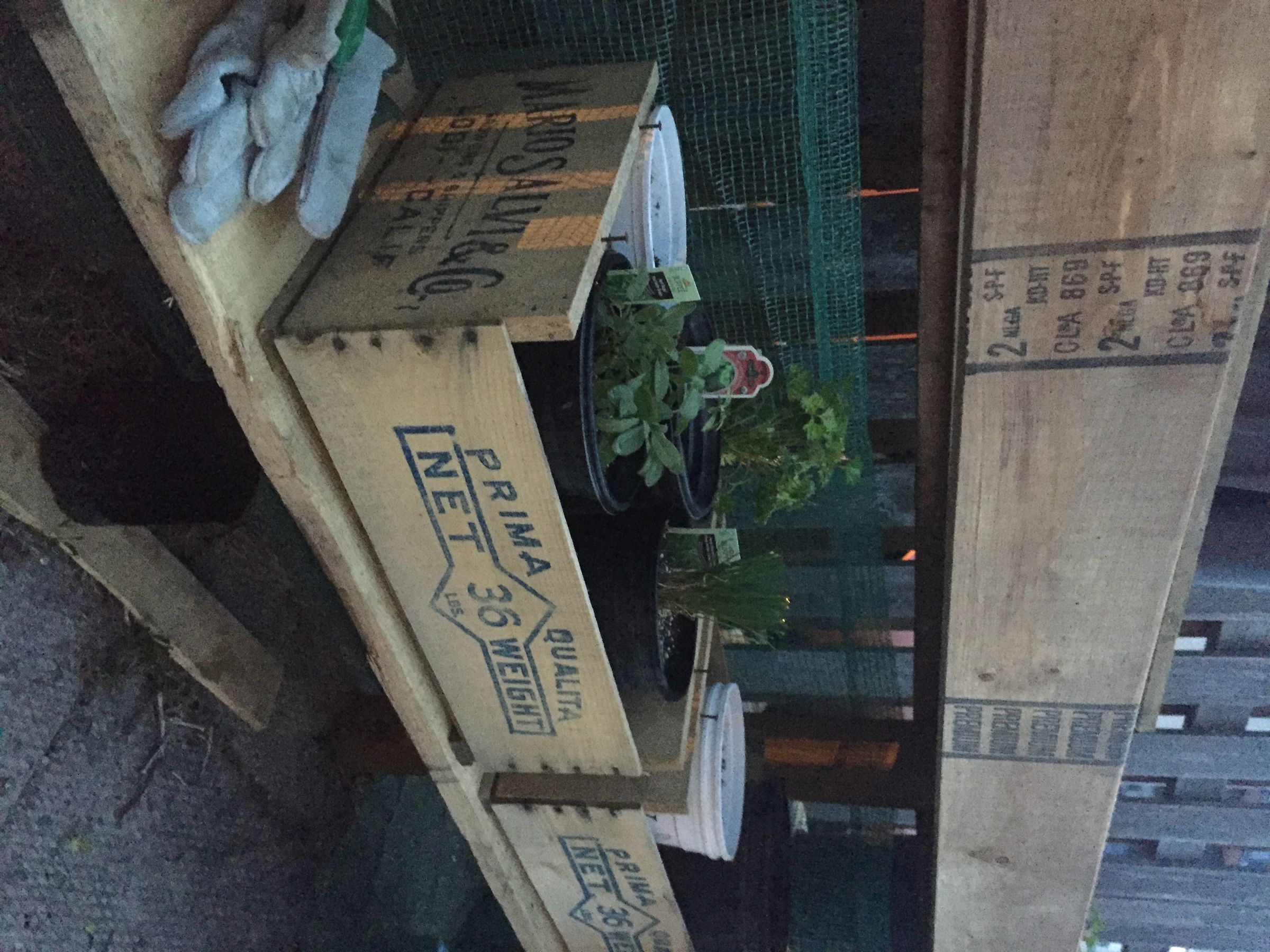 Planting Bench With Protected Growing Station : 3 Steps (with Pictures ...