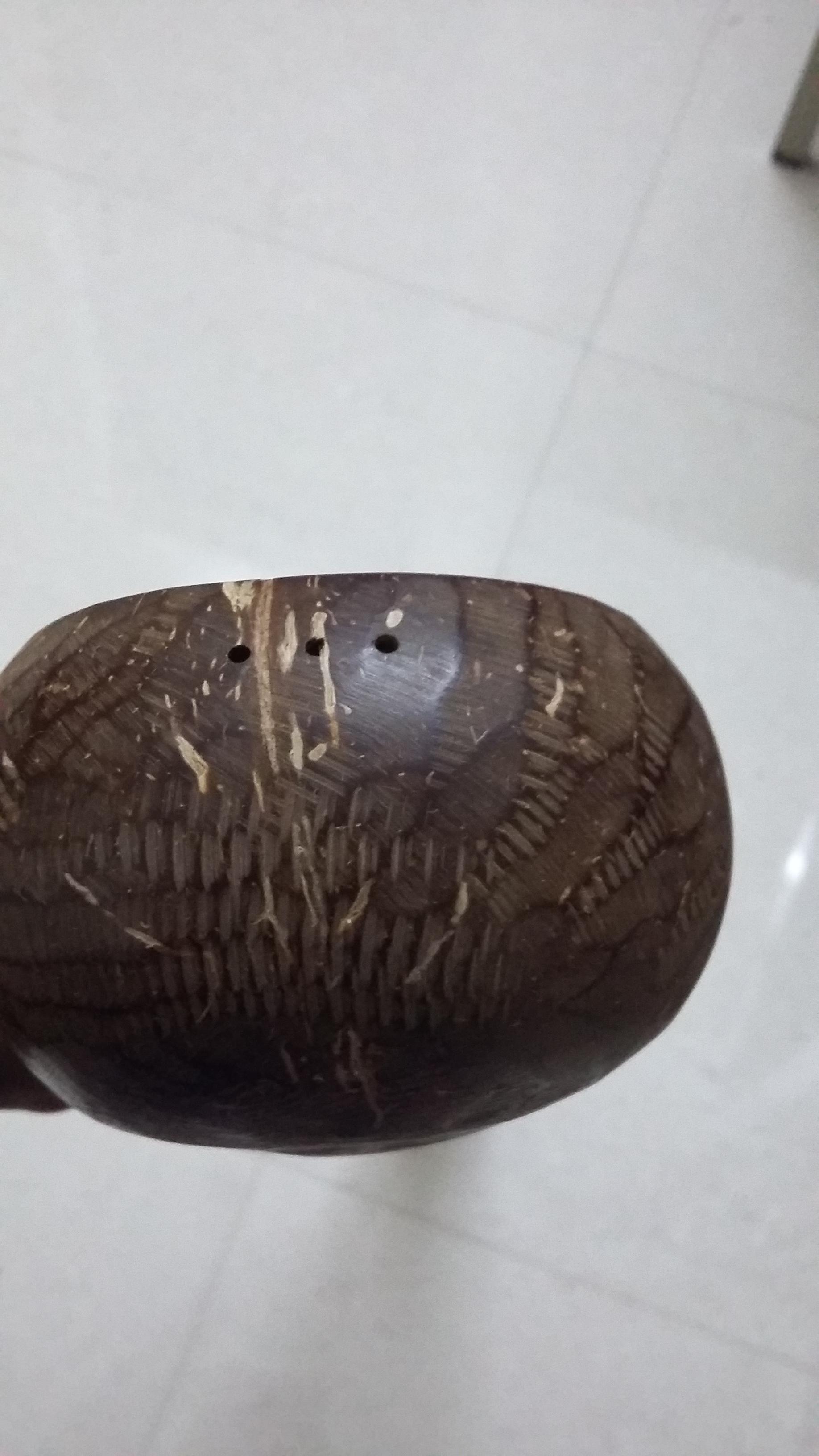 Coconut Shell Music Instrument : 12 Steps - Instructables