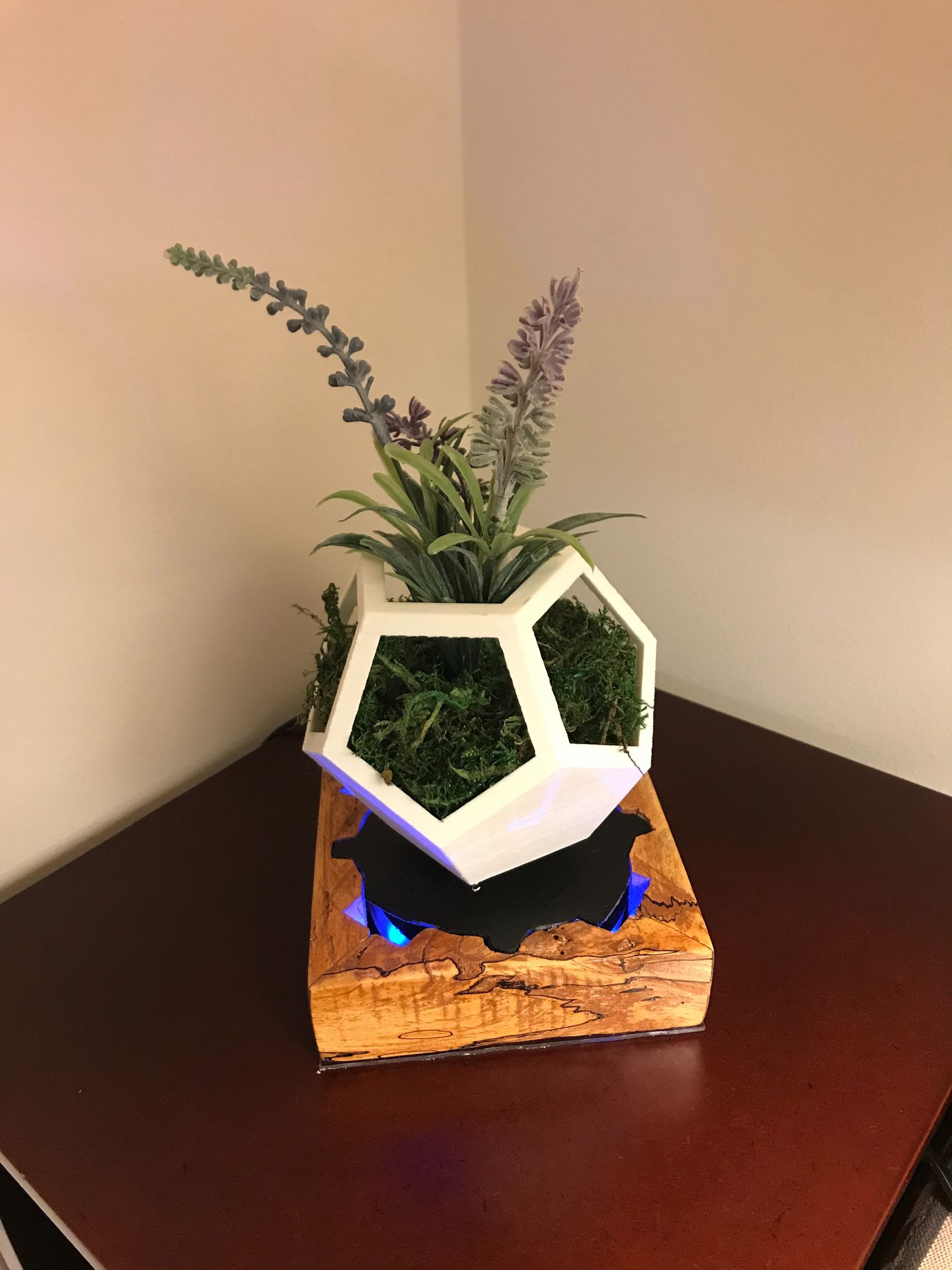 Magnetic Levitating Flower Pot : 4 Steps (with Pictures) - Instructables