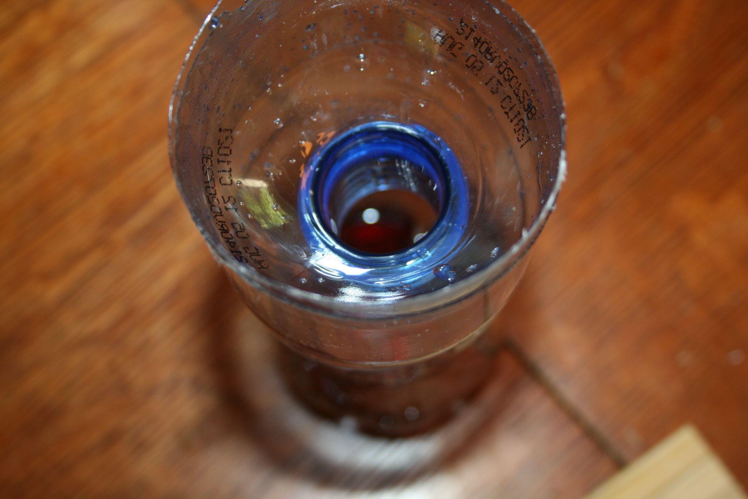 DIY Yellow Jacket Bottle Trap : 8 Steps (with Pictures) - Instructables