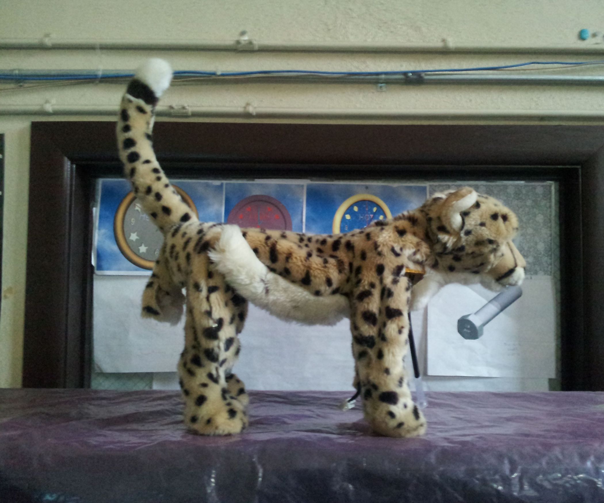 How to Make Your Own Robot Cheetah : 11 Steps (with Pictures ...