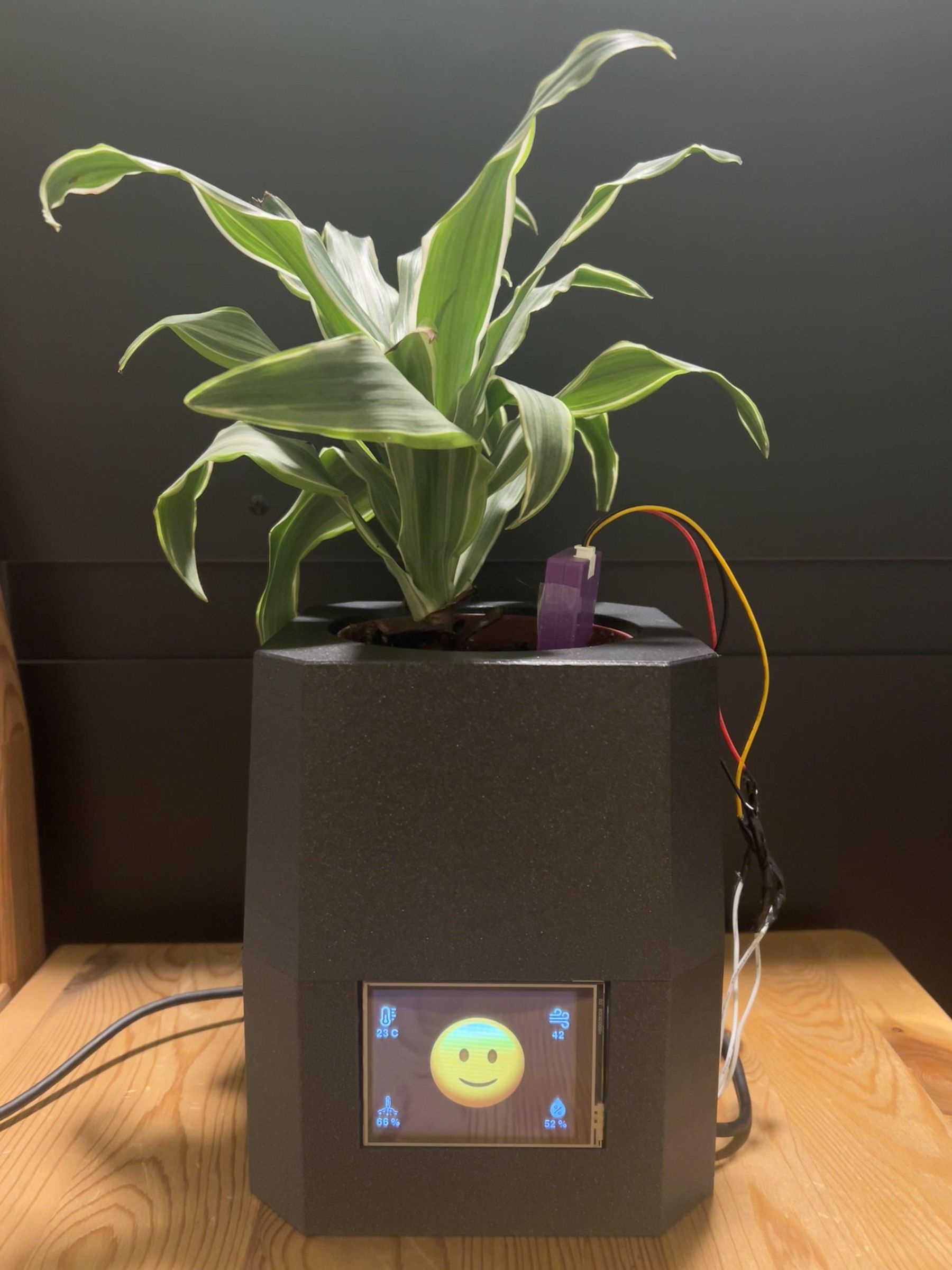 The Pet Pot : 8 Steps (with Pictures) - Instructables