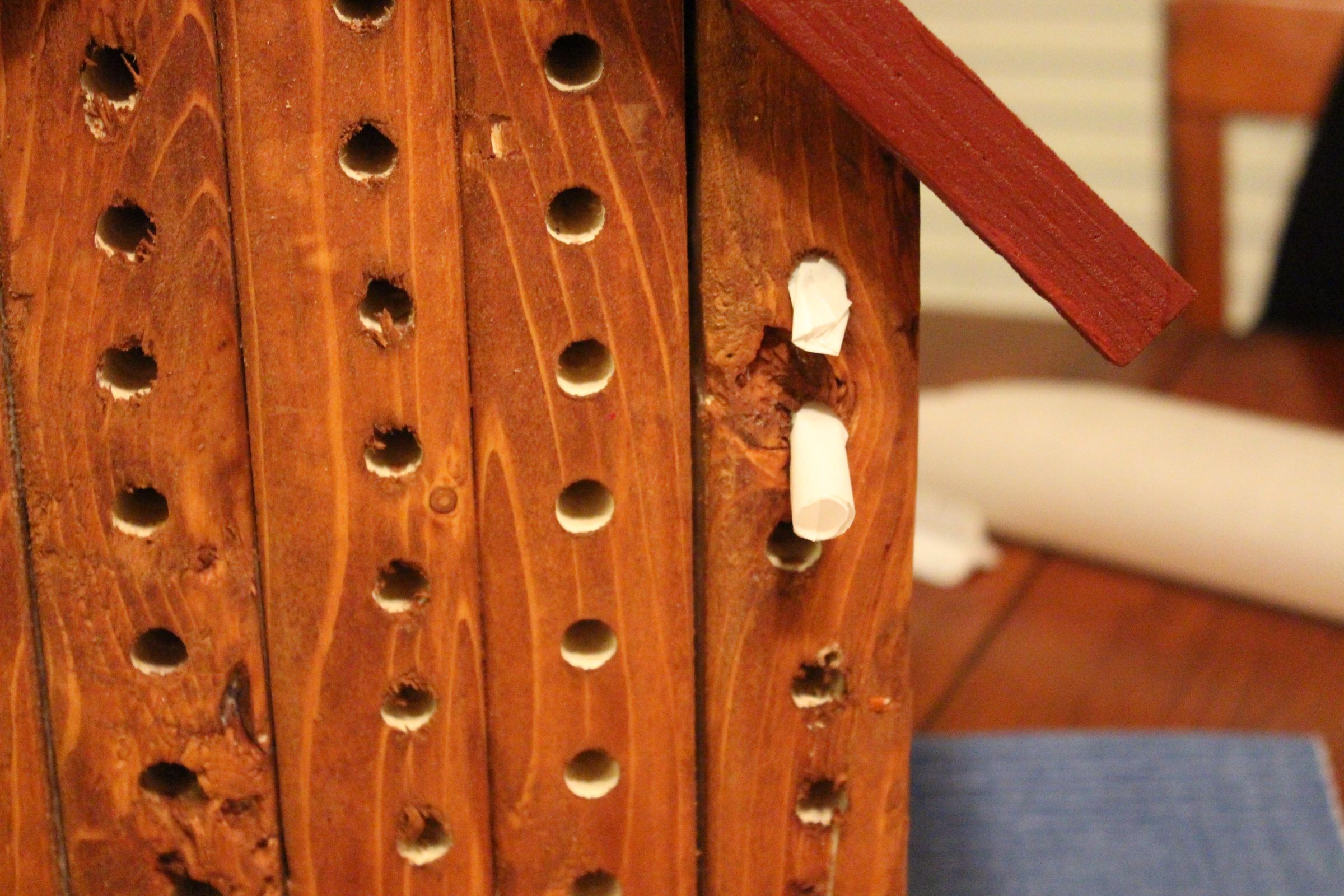 Mason Bee House : 18 Steps (with Pictures) - Instructables