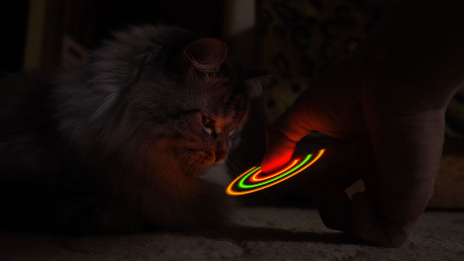 DIY LED Spinner : 7 Steps (with Pictures) - Instructables