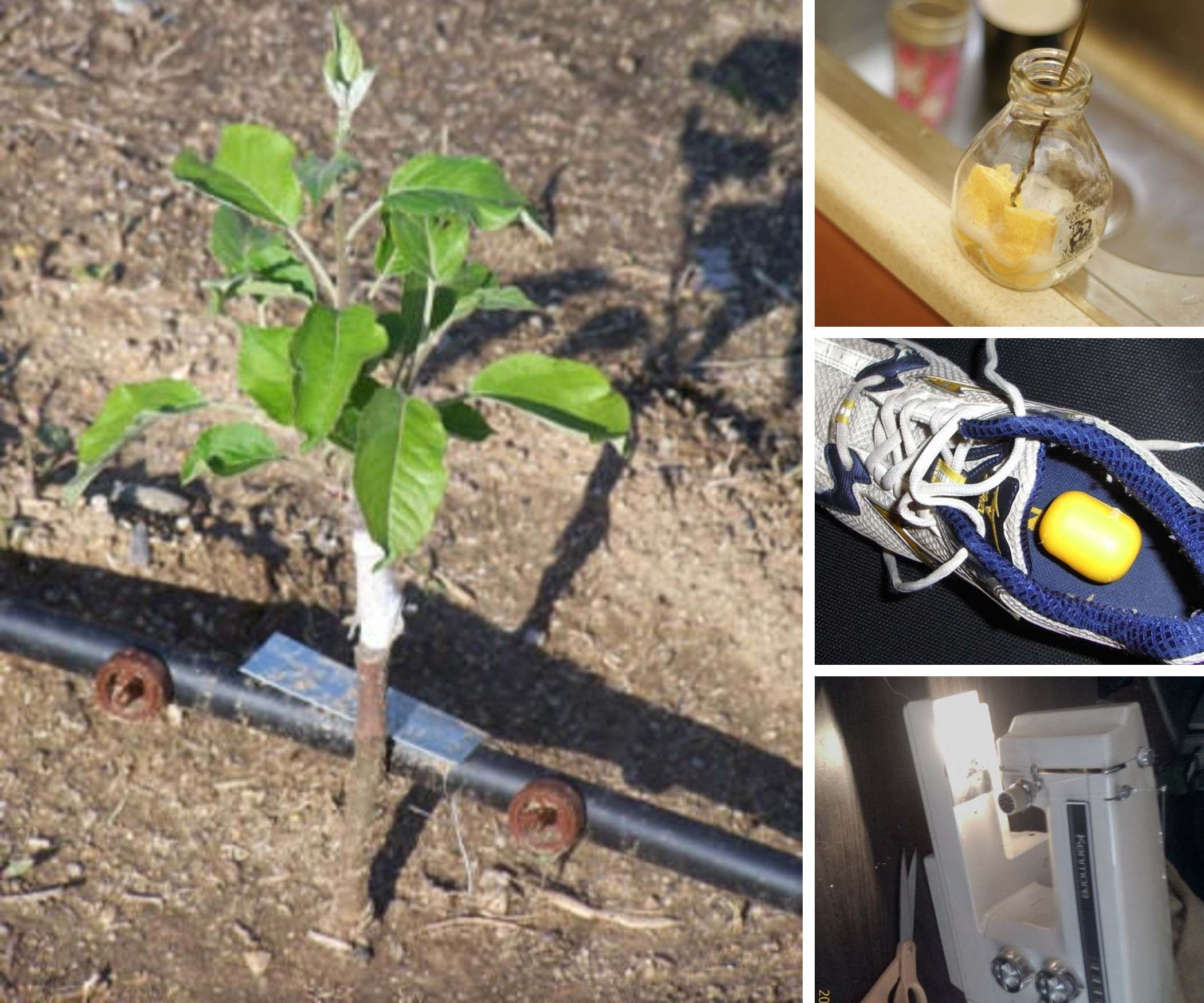 Easy DIY - Instructables