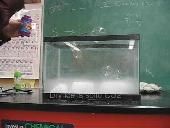 How to Make Crazy Levitating Bubbles - Instructables