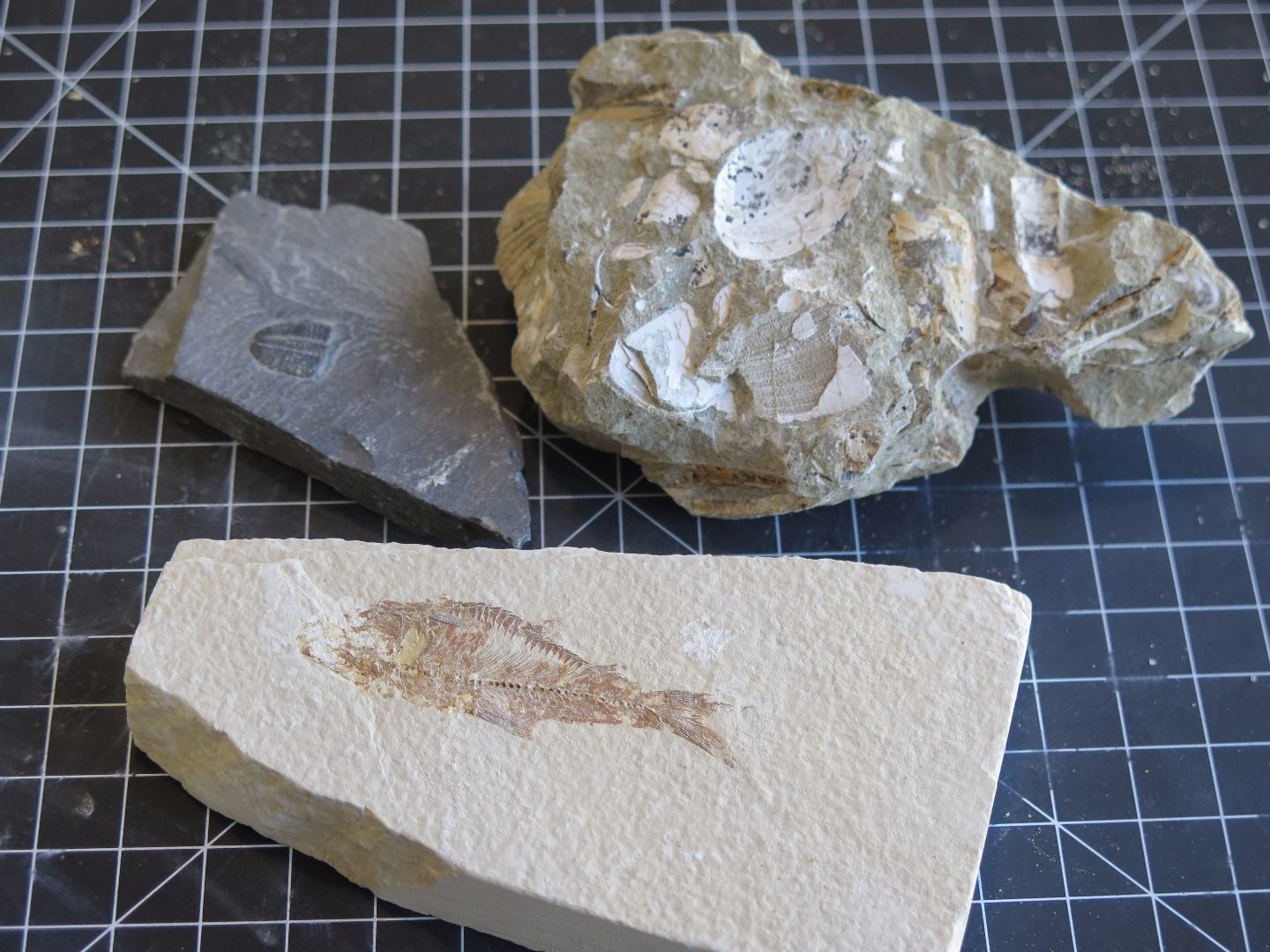 Rock Tests 101 : 14 Steps (with Pictures) - Instructables