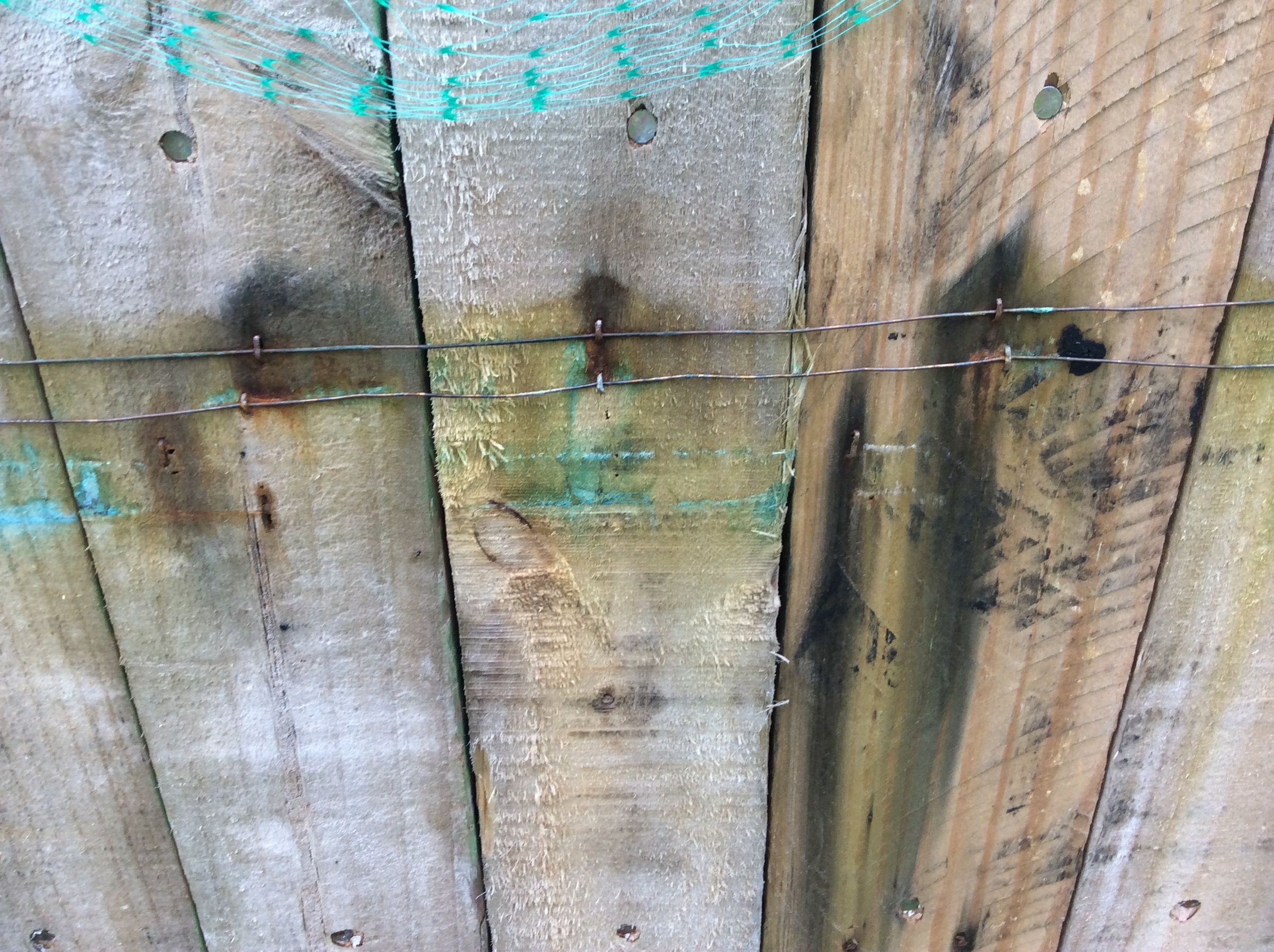 Raised Bed Electric Slug Fence : 3 Steps (with Pictures) - Instructables