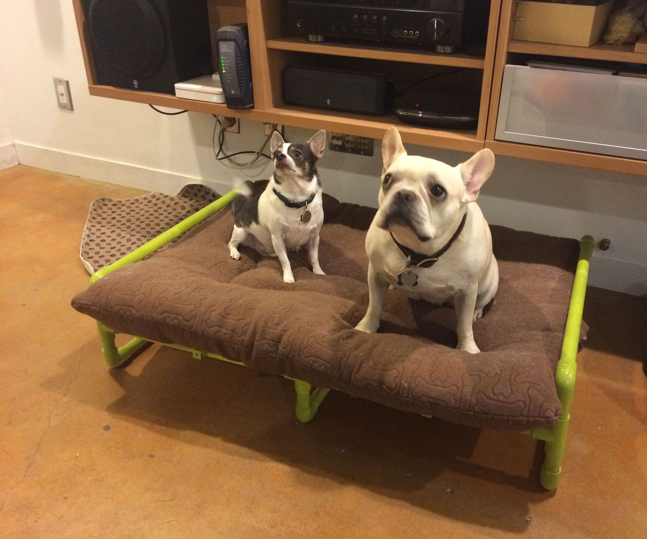 PVC Pipe Raised Dog Bed : 7 Steps (with Pictures) - Instructables
