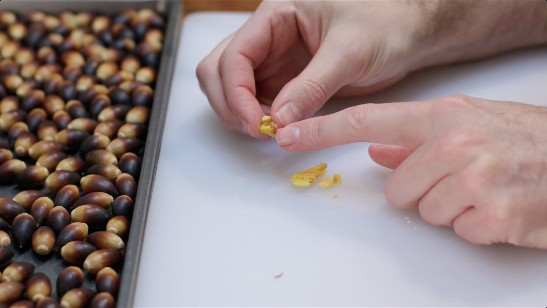 How to Process Acorns and Make Acorn Flour : 8 Steps (with Pictures ...