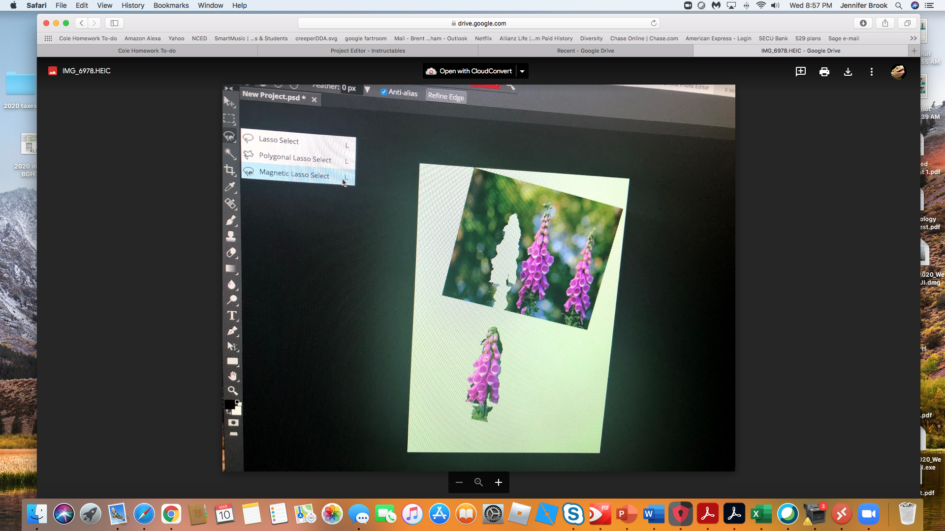 Photopea Tutorial Project: Hallucinogenic Plant Poster : 6 Steps ...