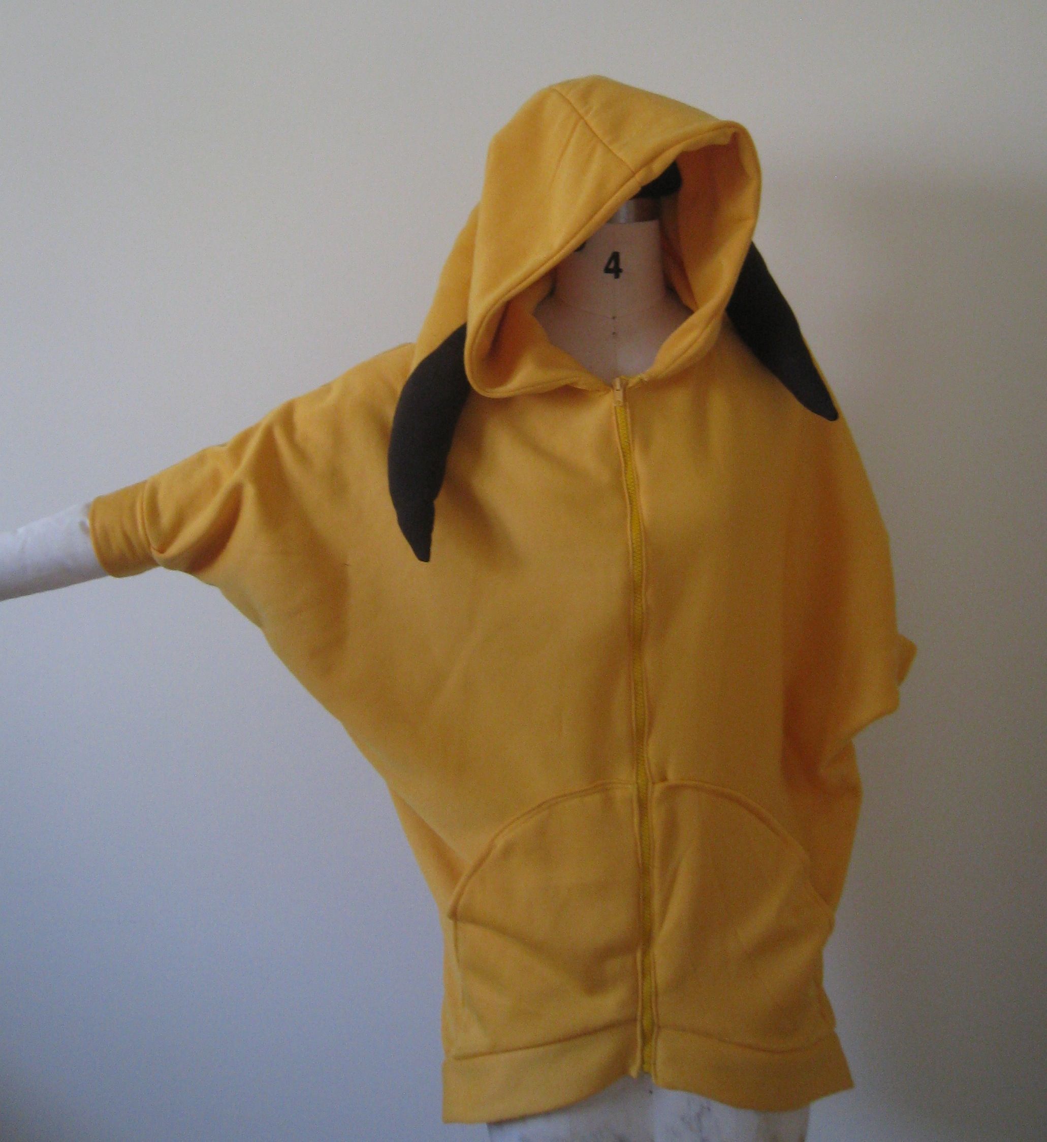 Pikachu: a Flying Squirrel(sort Of....) : 8 Steps (with Pictures ...