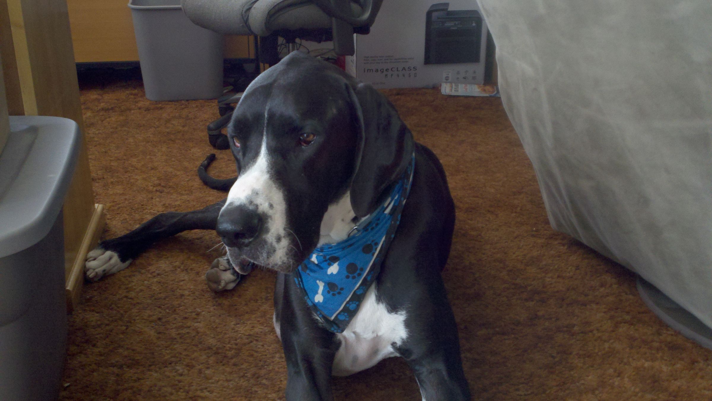 Paper Cutout Card : 3 Steps (with Pictures) - Instructables