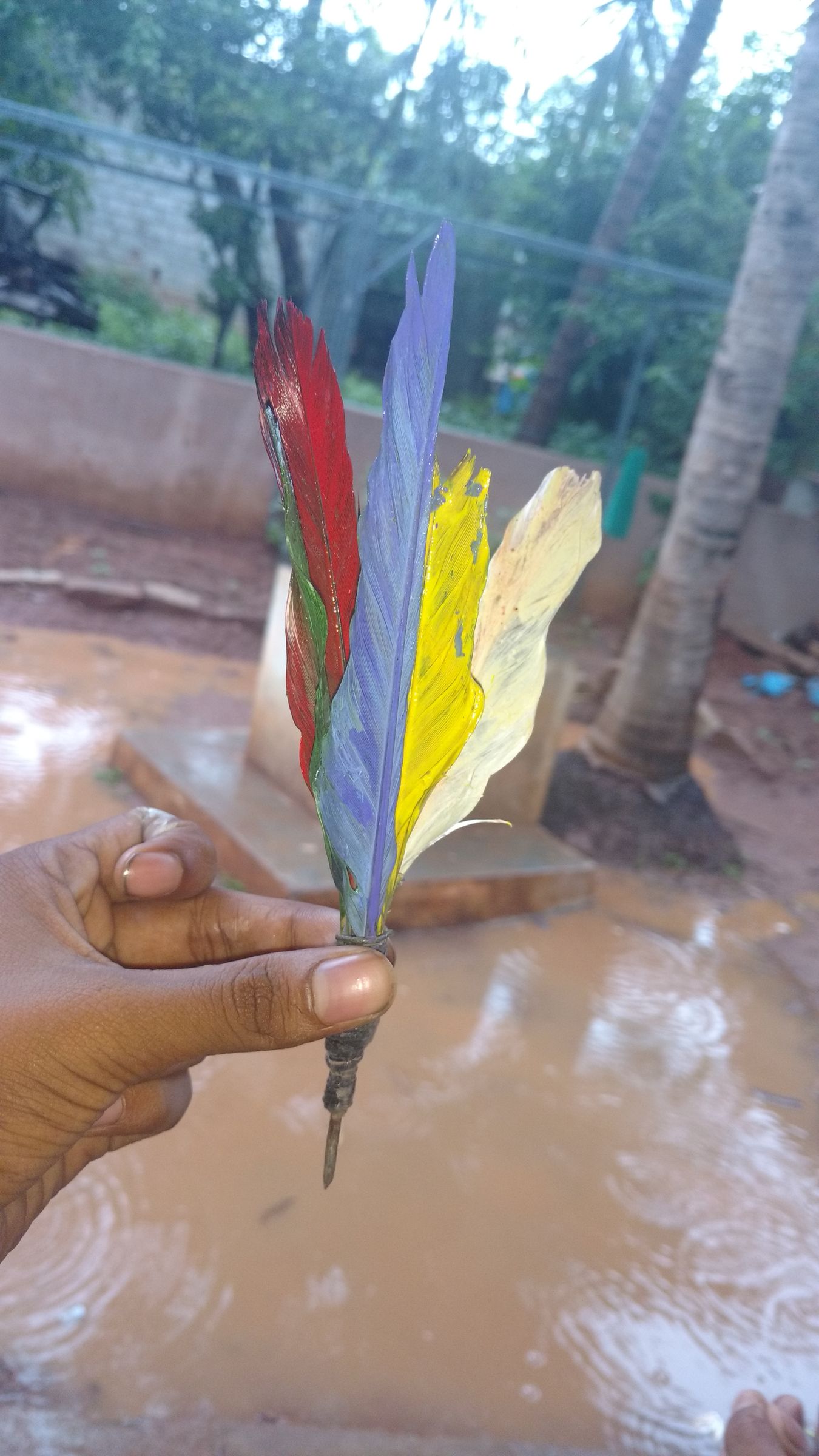 Feather Pointer : 4 Steps - Instructables