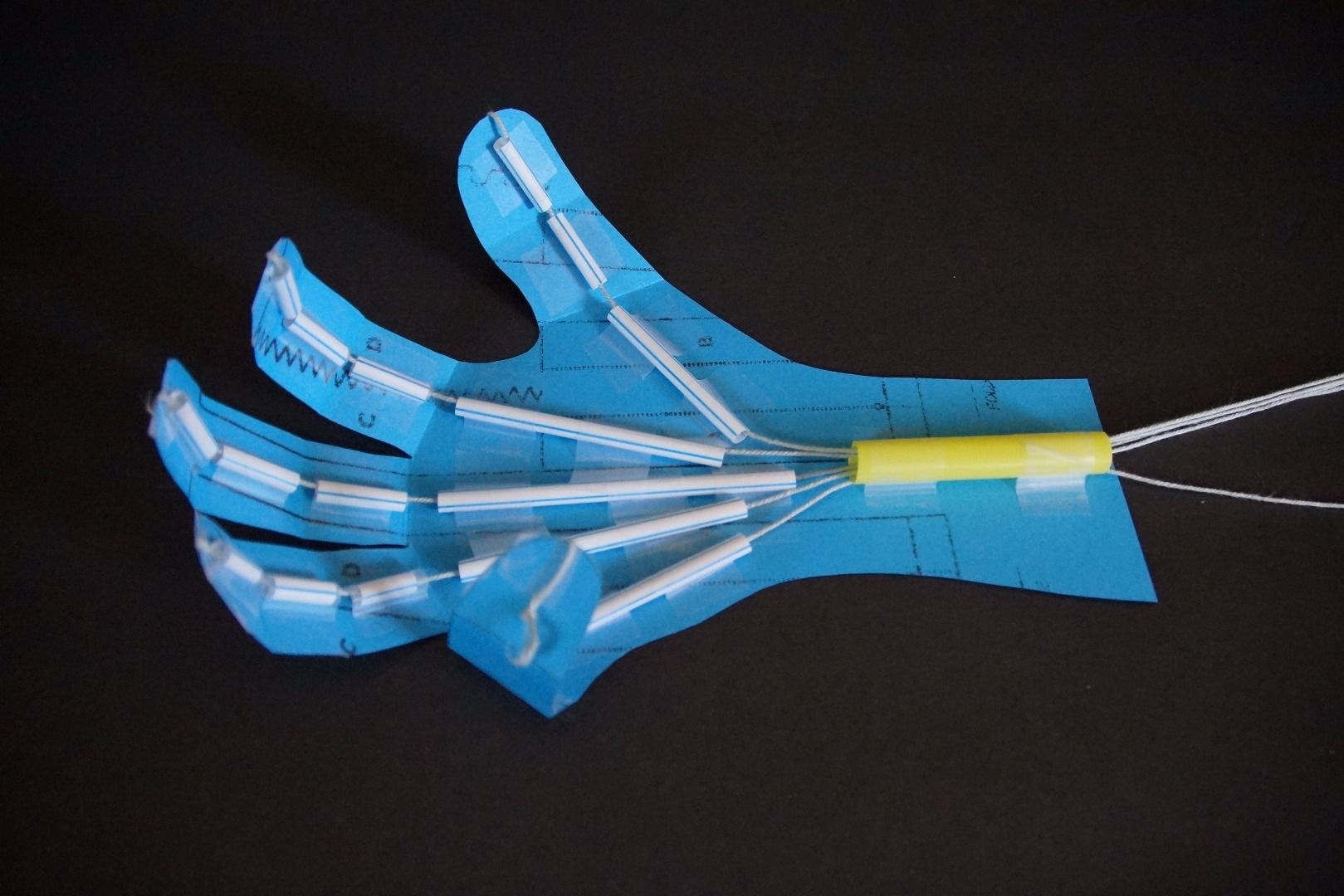 Robotic Hand Science Project : 5 Steps (with Pictures) - Instructables