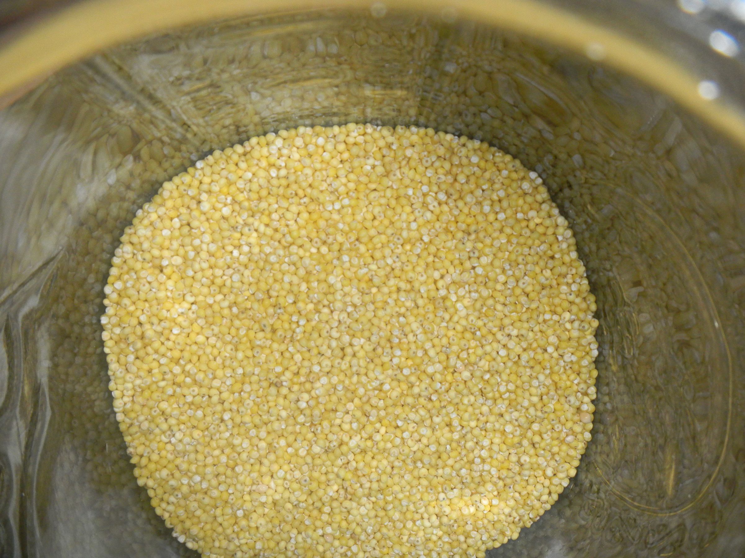 Sprout Quinoa : 4 Steps (with Pictures) - Instructables