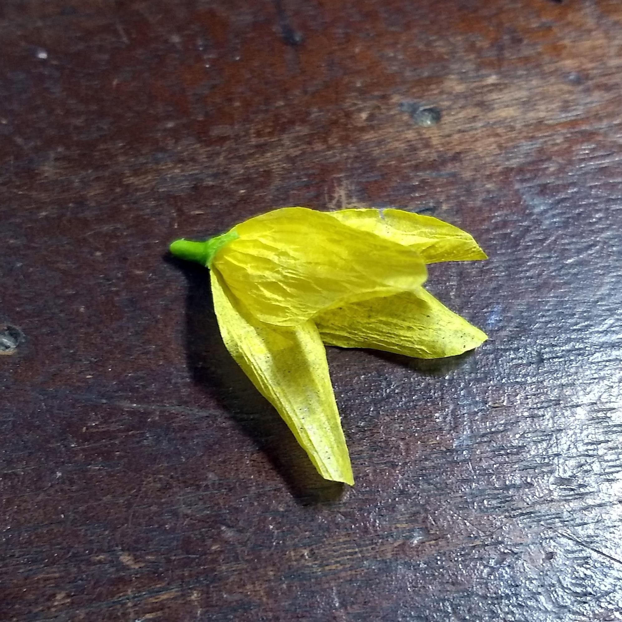 Crepe Paper Forsythia Branches : 8 Steps (with Pictures) - Instructables