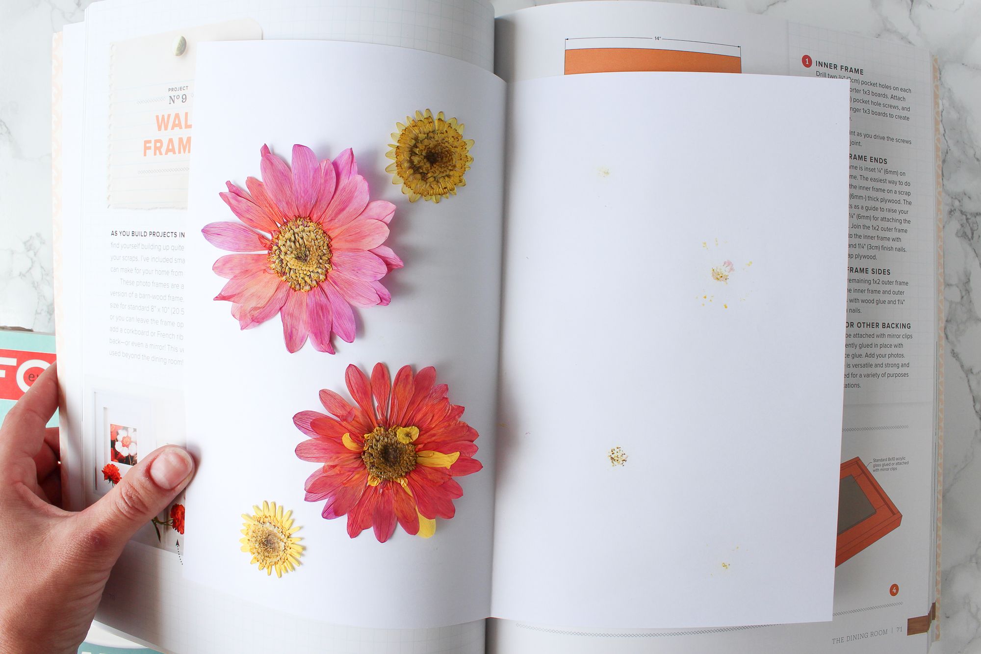 How to Press and Dry Flowers (and Leaves!) : 8 Steps (with Pictures ...
