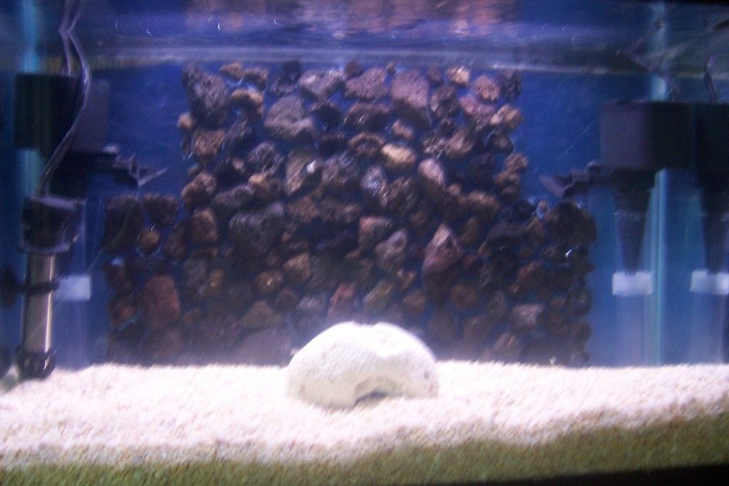Lava Rock Aquarium Background : 6 Steps - Instructables