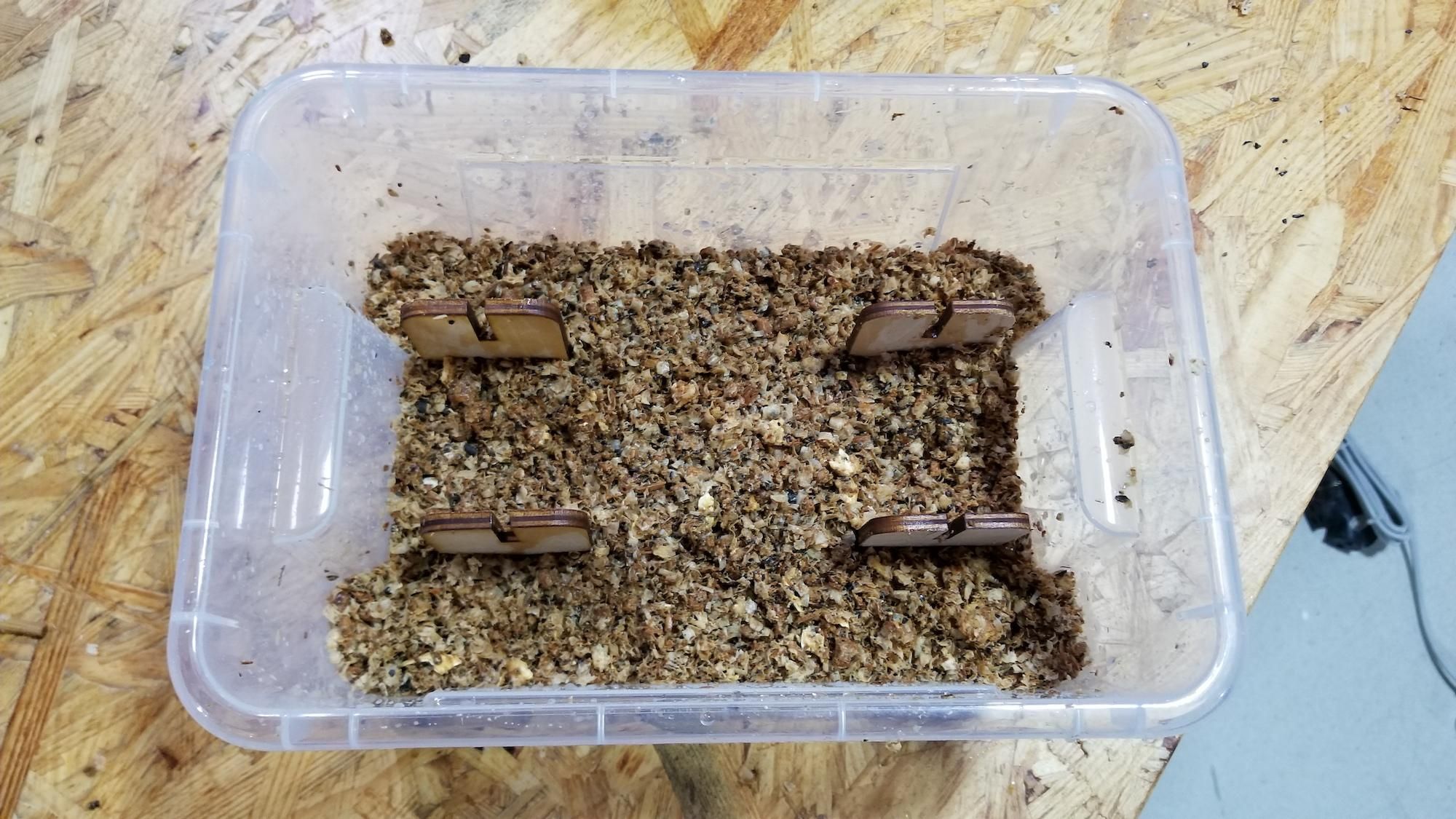 Mycelium Stool (prototype) : 8 Steps - Instructables