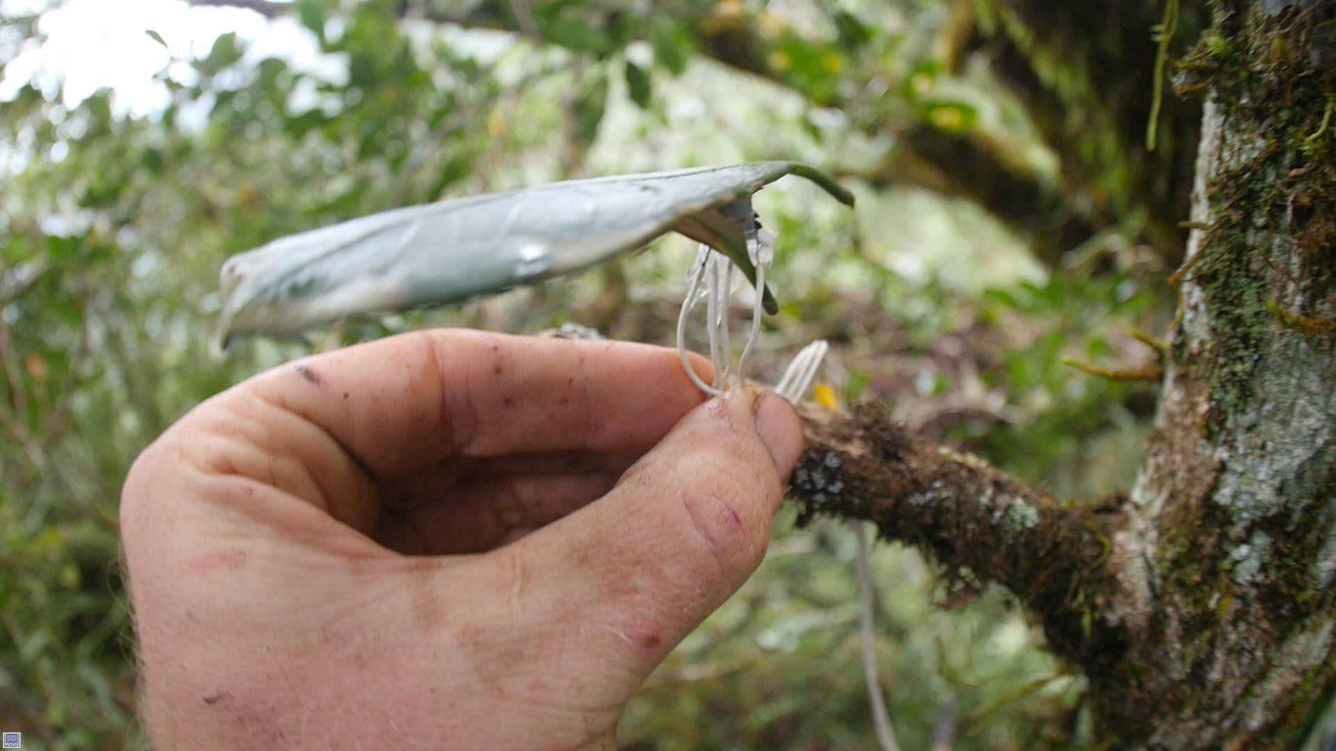 Fiber-Optic Jungle Insect Traffic Taster : 17 Steps (with Pictures ...