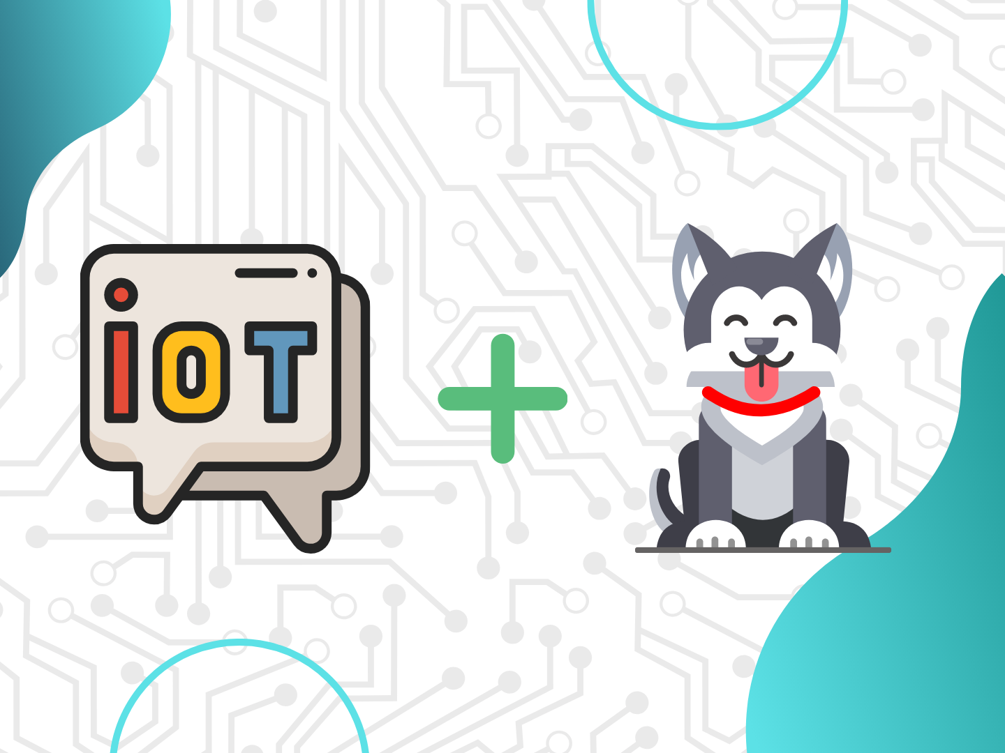 IoT Automatic Dog Feeder for Beginners : 6 Steps - Instructables