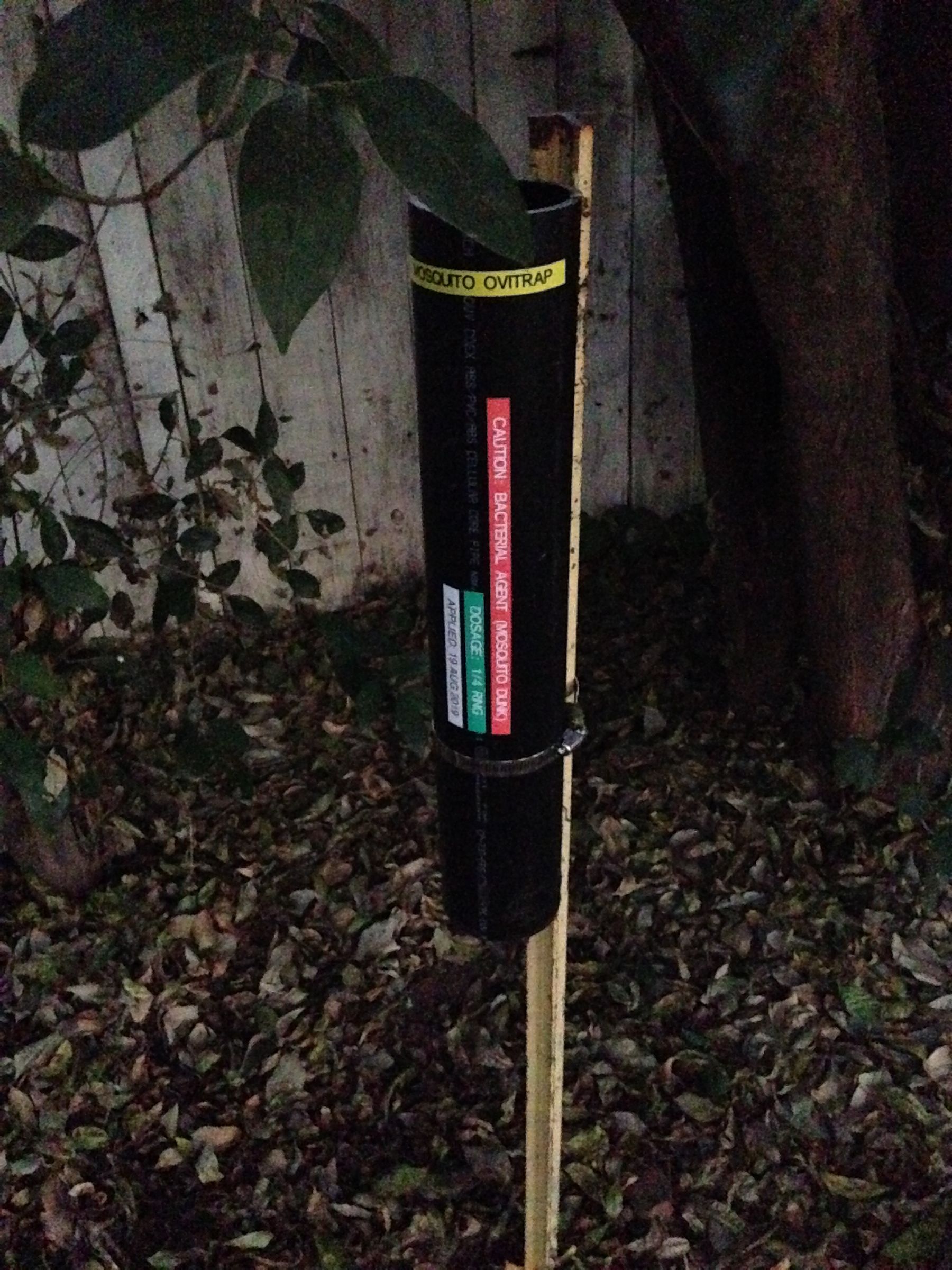 Mosquito Ovitrap : 5 Steps - Instructables
